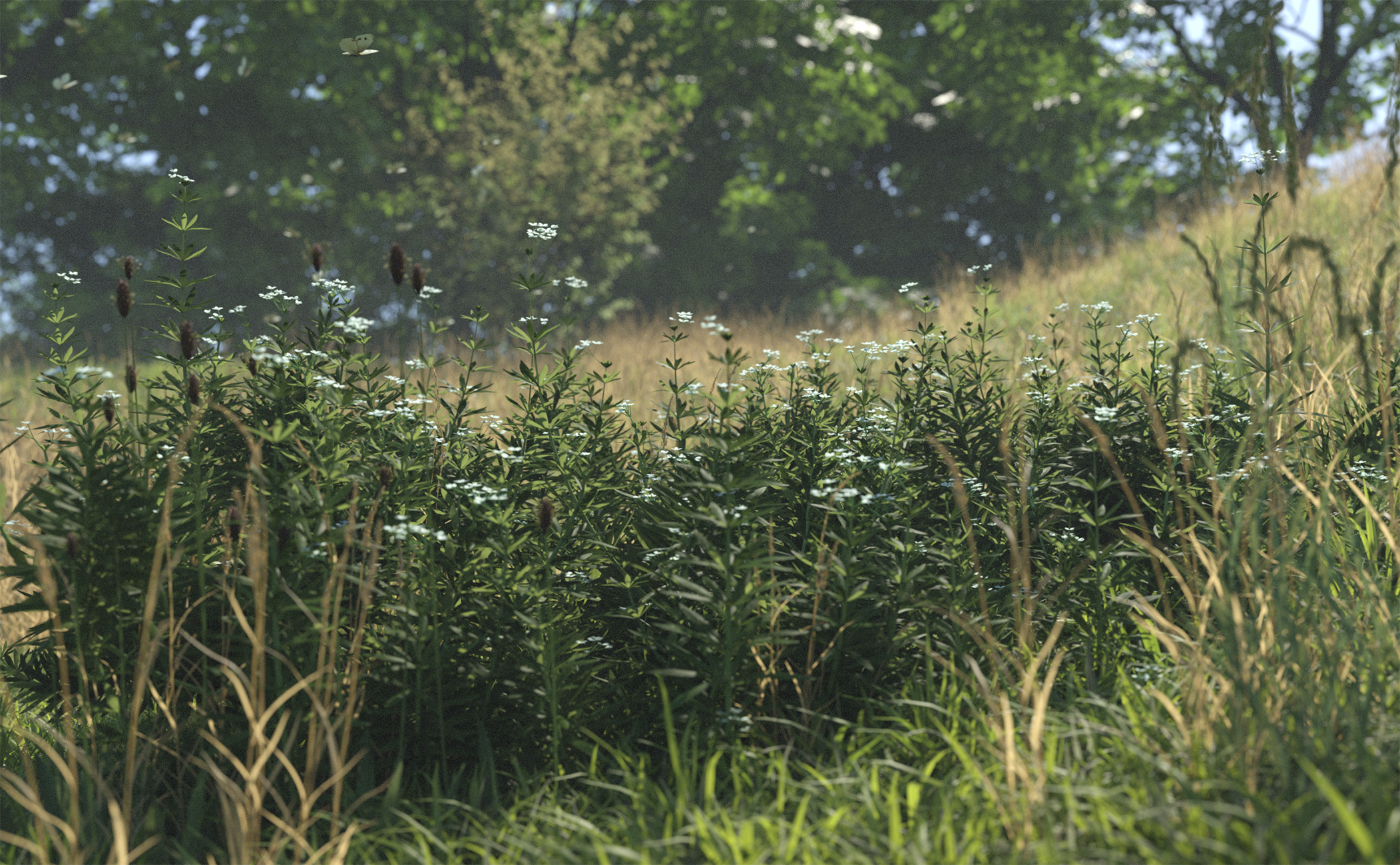 Wild FLowers Vol-2 Bundle | Daz 3D