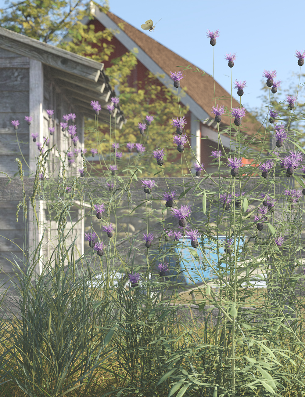 Wild FLowers Vol-2 Bundle | Daz 3D