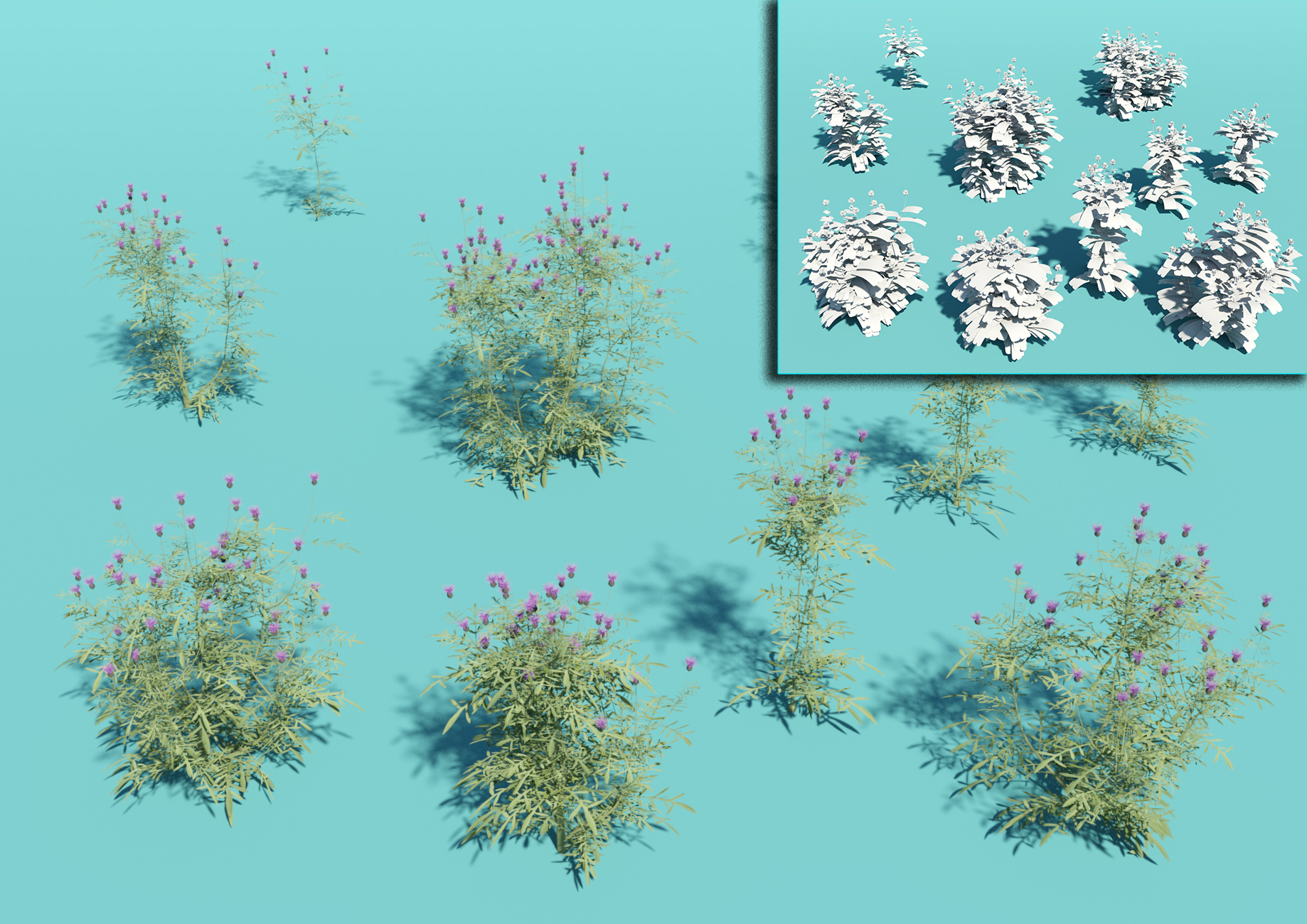 Wild FLowers Vol-2 Bundle | Daz 3D
