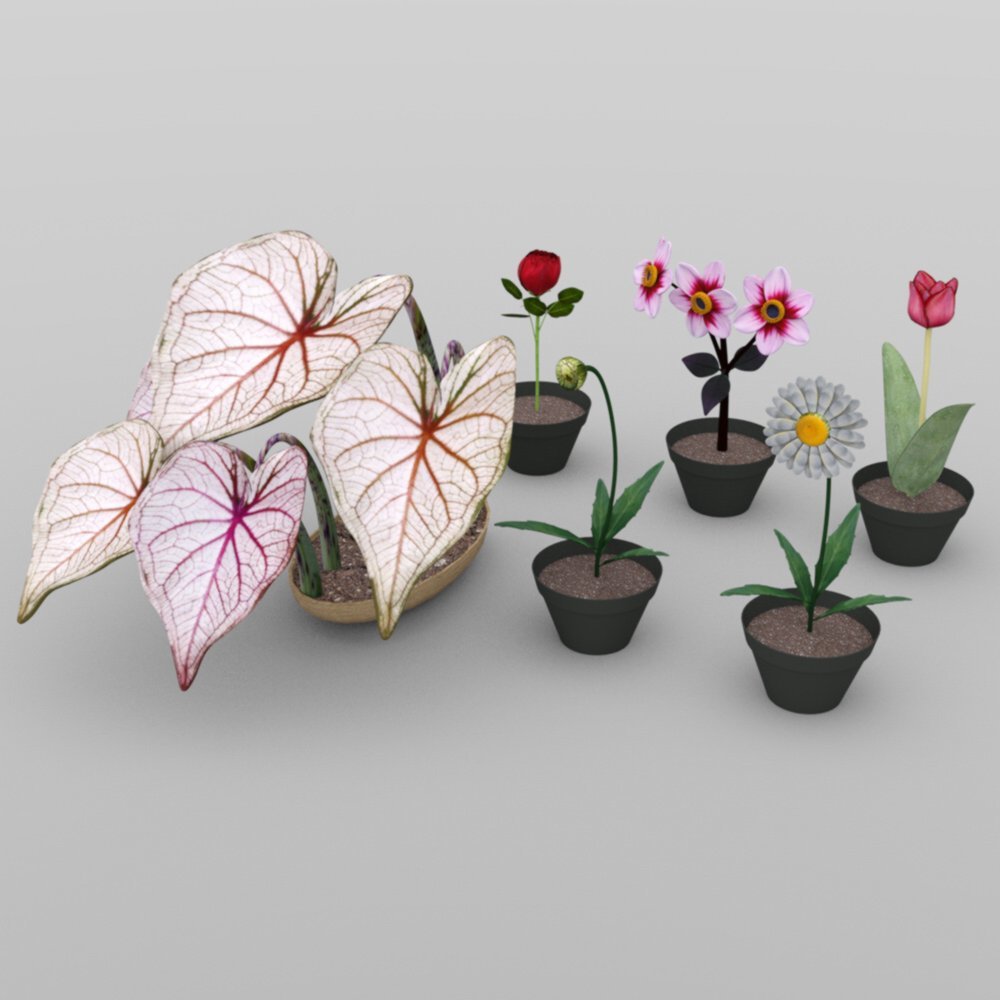 Plants Set 2 for DAZ Studio | Daz 3D