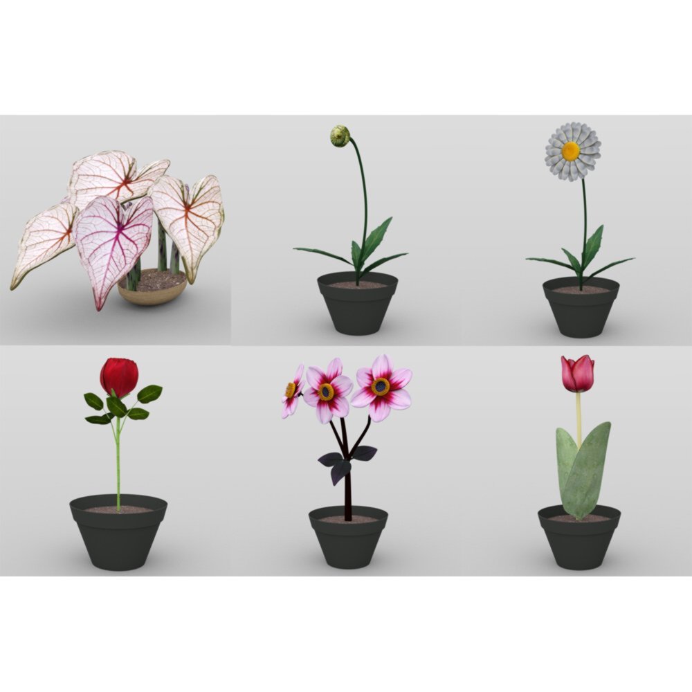 Plants Set 2 for DAZ Studio | Daz 3D