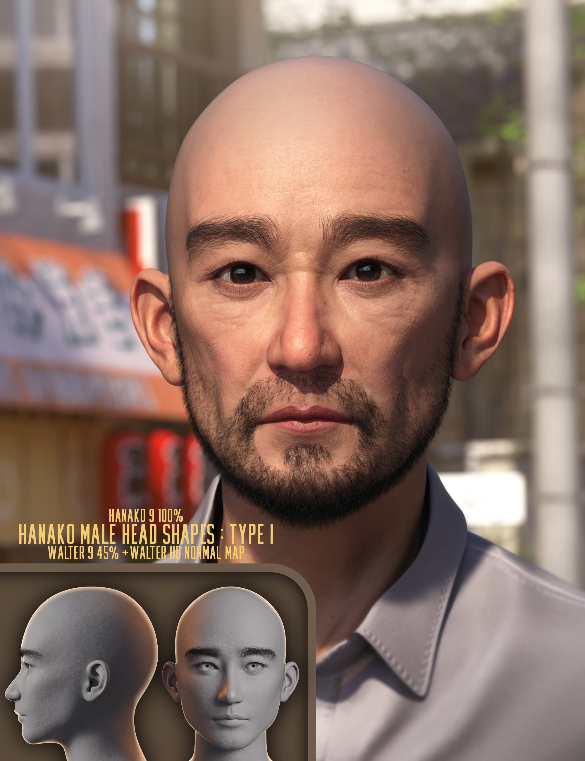 Head Shapes Male for Hanako 9 | Daz 3D
