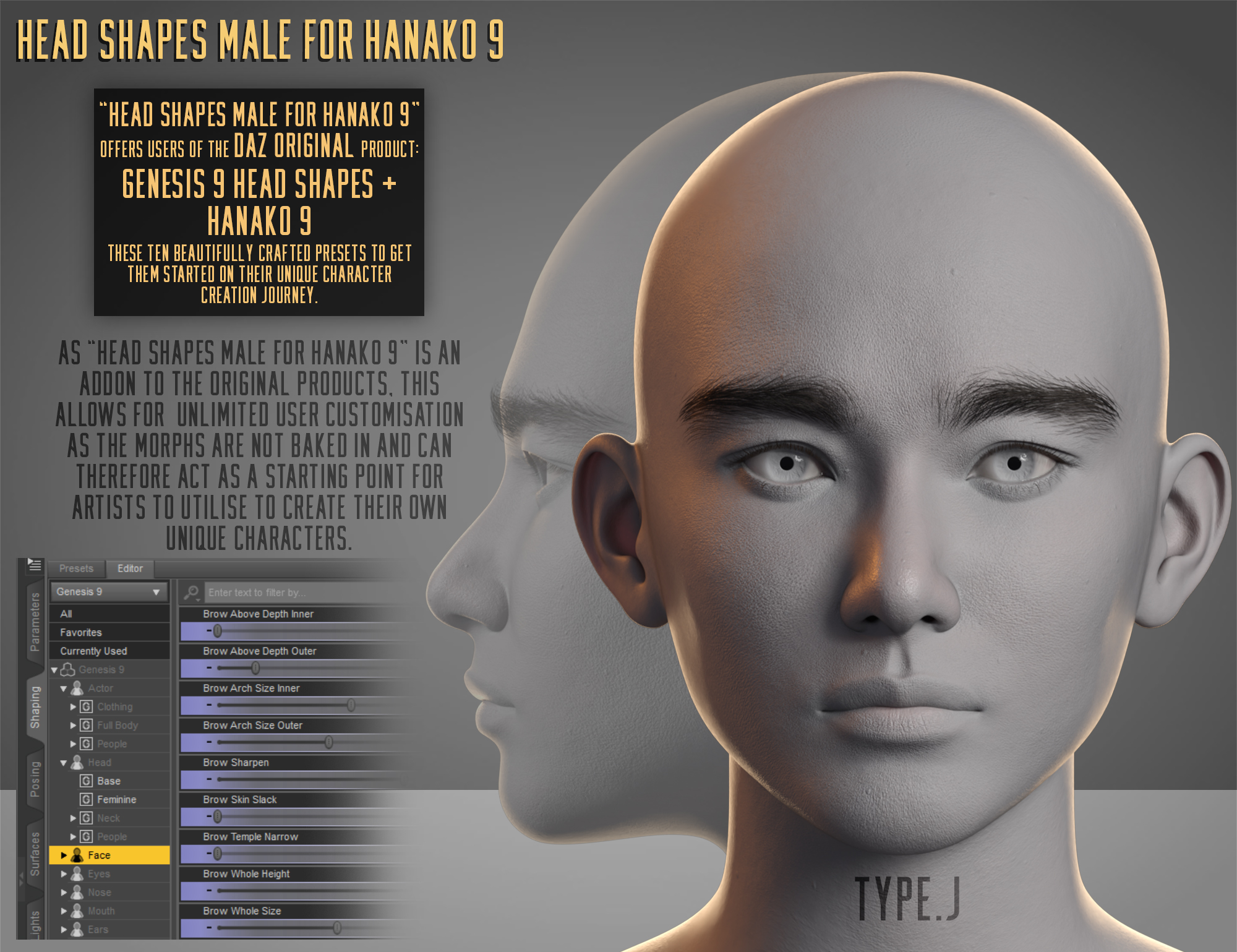 Head Shapes Male for Hanako 9 | Daz 3D