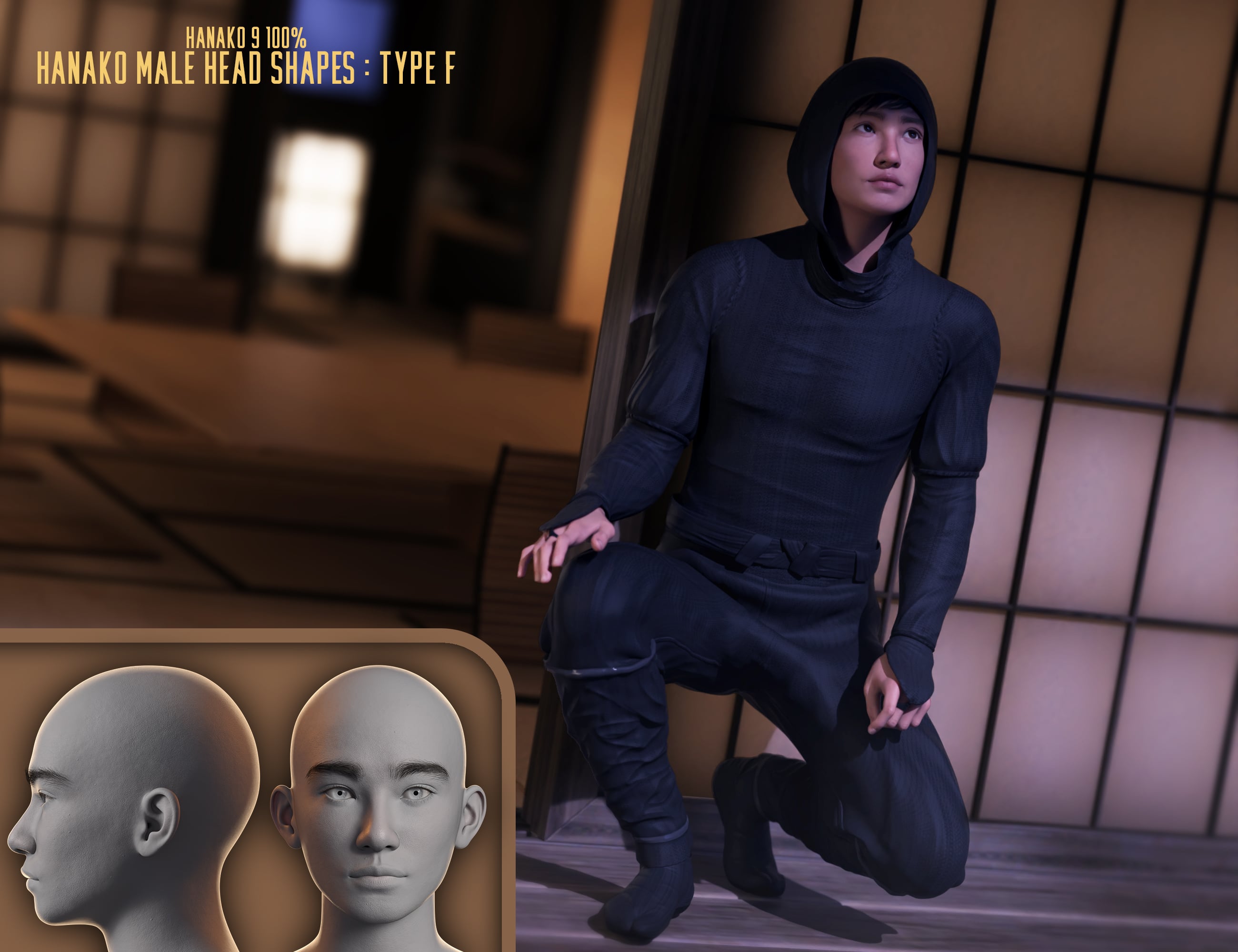 Head Shapes Male for Hanako 9 | Daz 3D