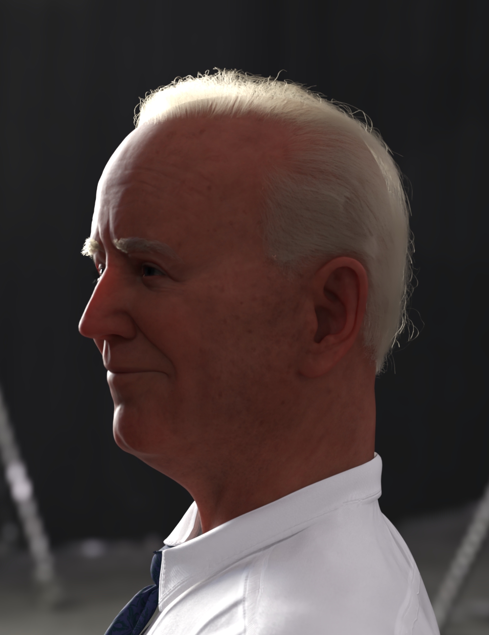 Old Joey Hair for Genesis 9 | Daz 3D