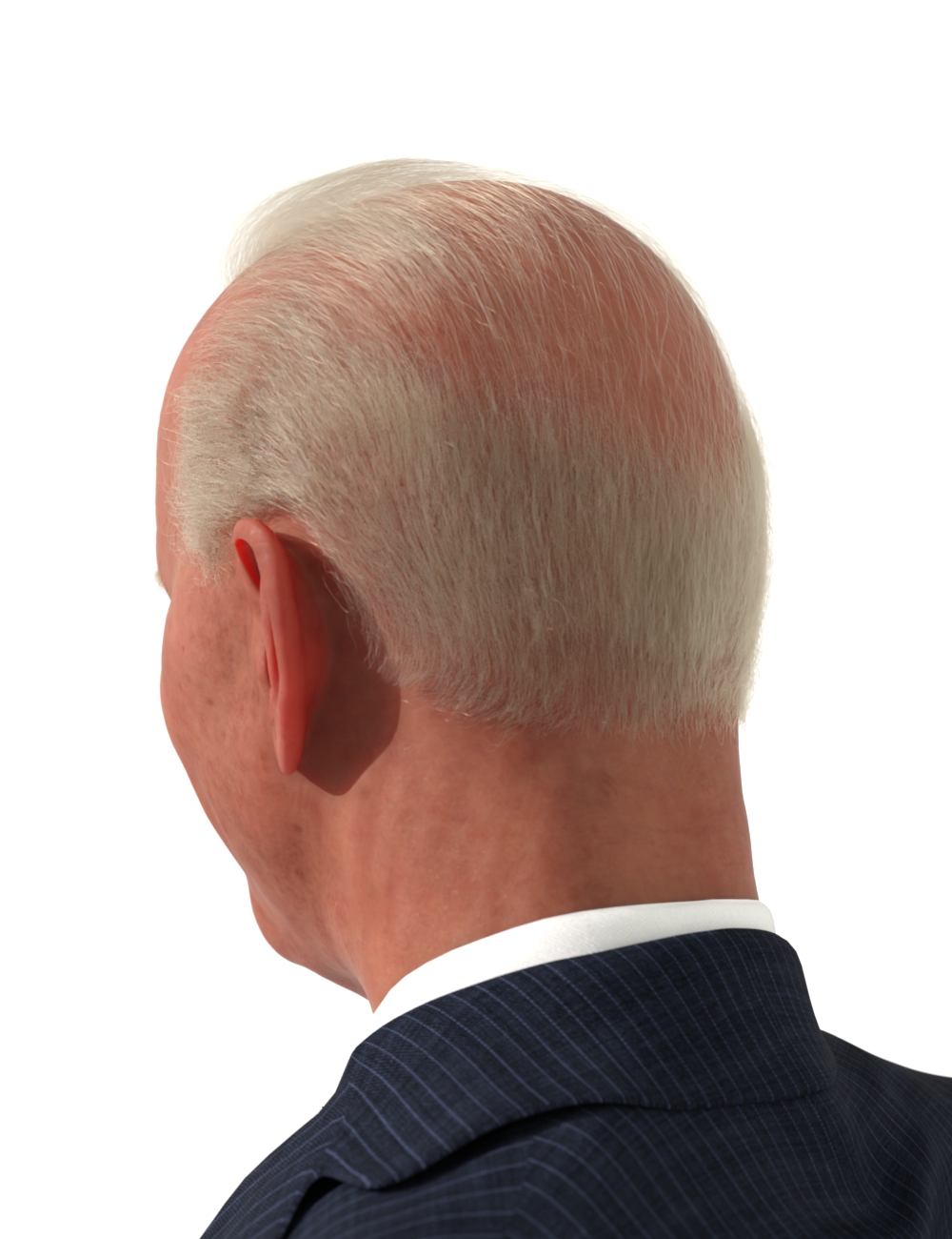 Old Joey Hair for Genesis 9 | Daz 3D