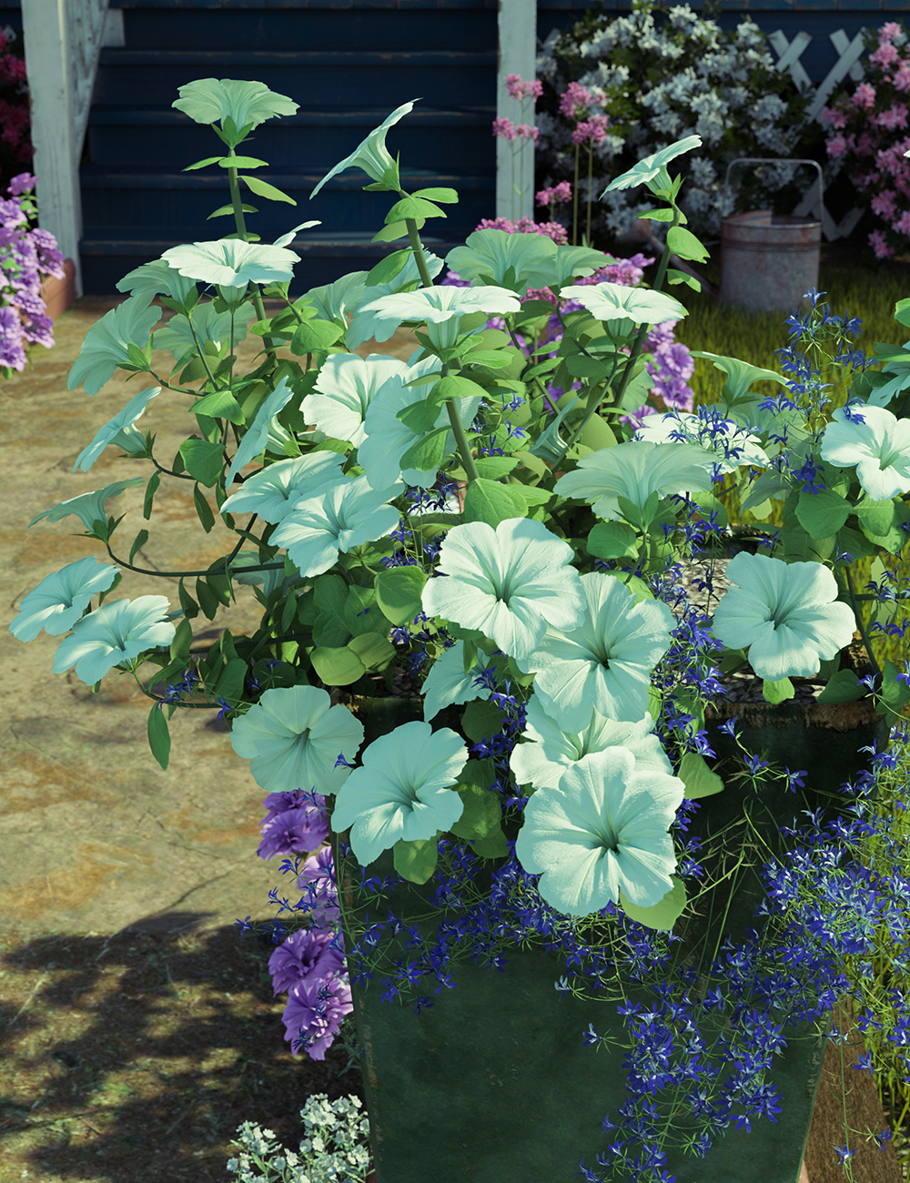 Cottage Garden Flowers - Petunias | Daz 3D