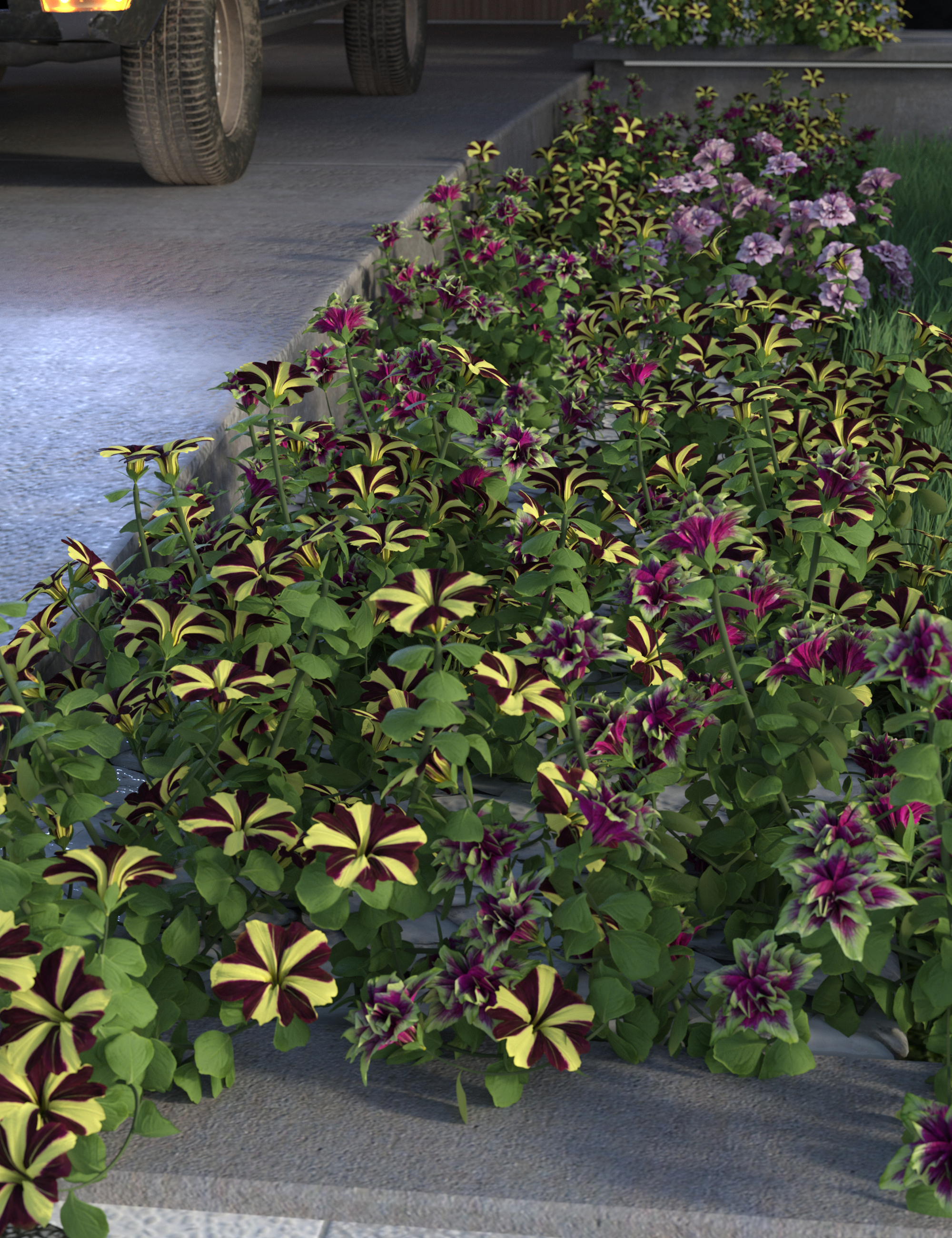 Cottage Garden Flowers Vol2 - Petunias Bundle | Daz 3D