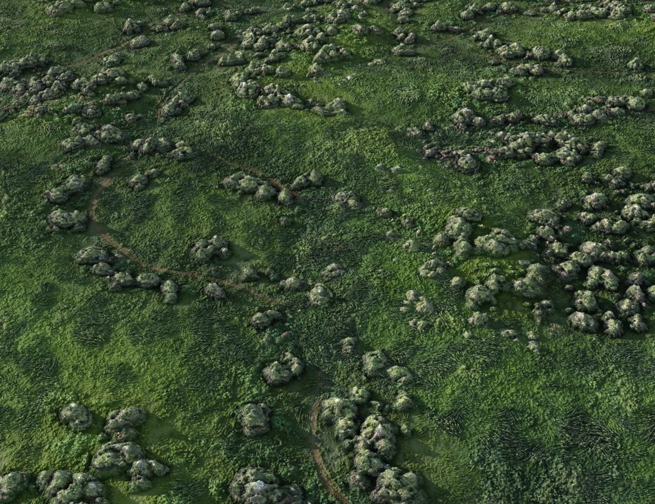 From Above: Meadows And Fields | Daz 3D