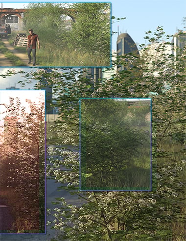 Hedgerow Kit - Wild Hawthorne Hedges Base | Daz 3D