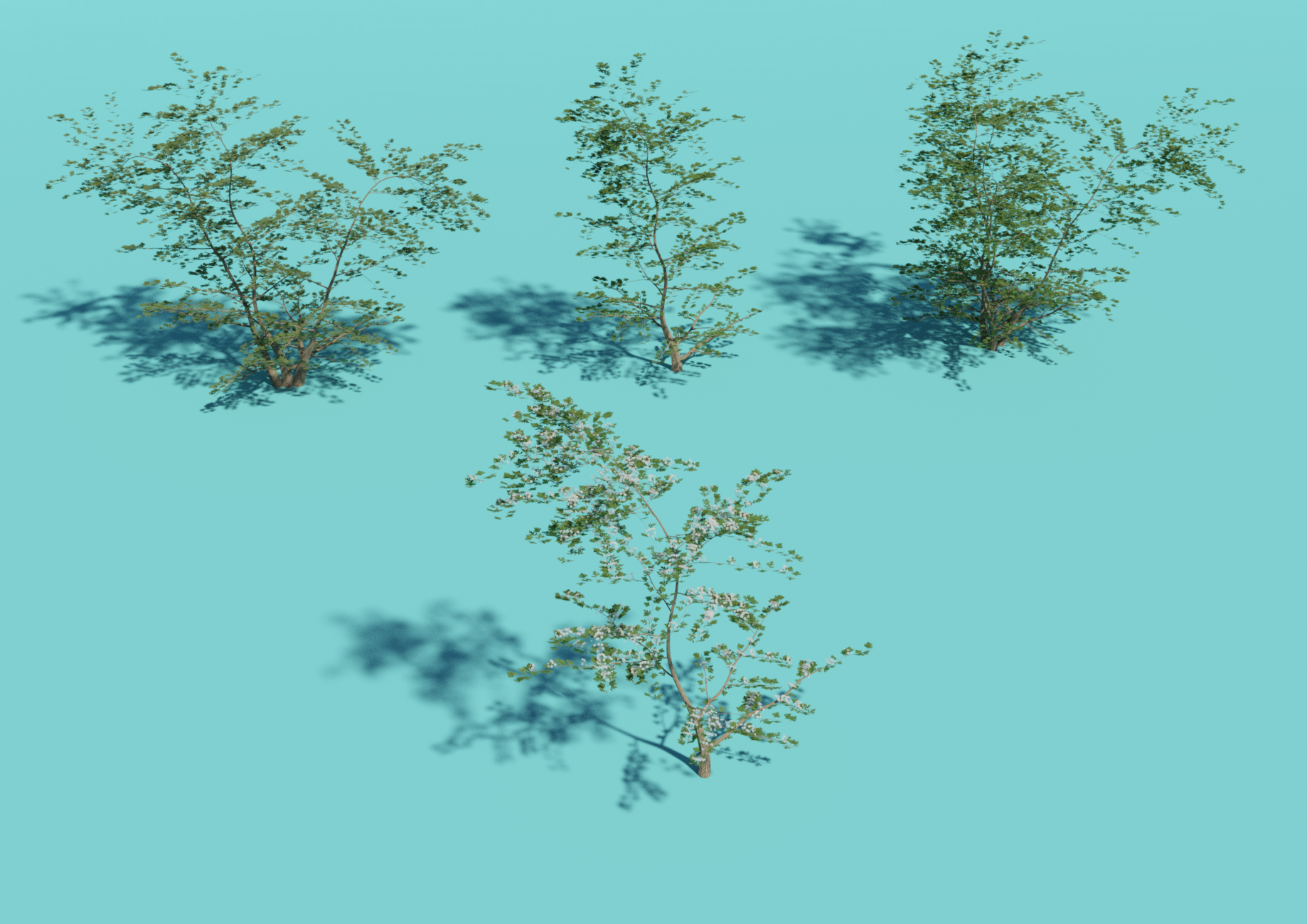 Hedgerow Kit - Wild Hawthorne Hedges Base | Daz 3D