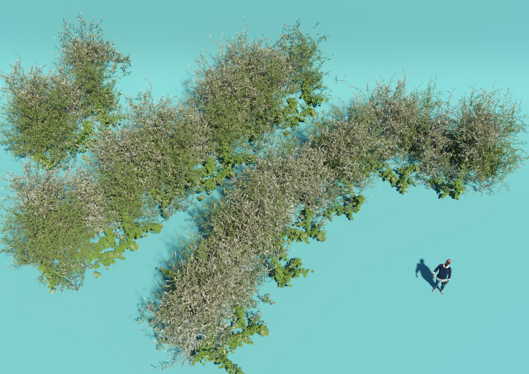 Hedgerow Kit - Expansion Roses and Brambles | Daz 3D