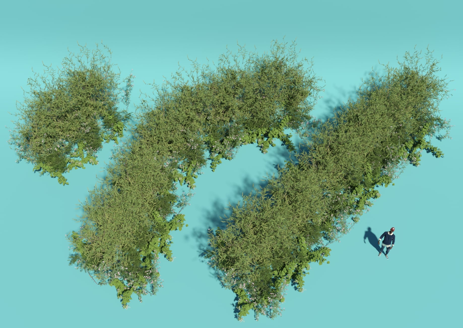 Hedgerow Kit - Expansion Roses and Brambles | Daz 3D