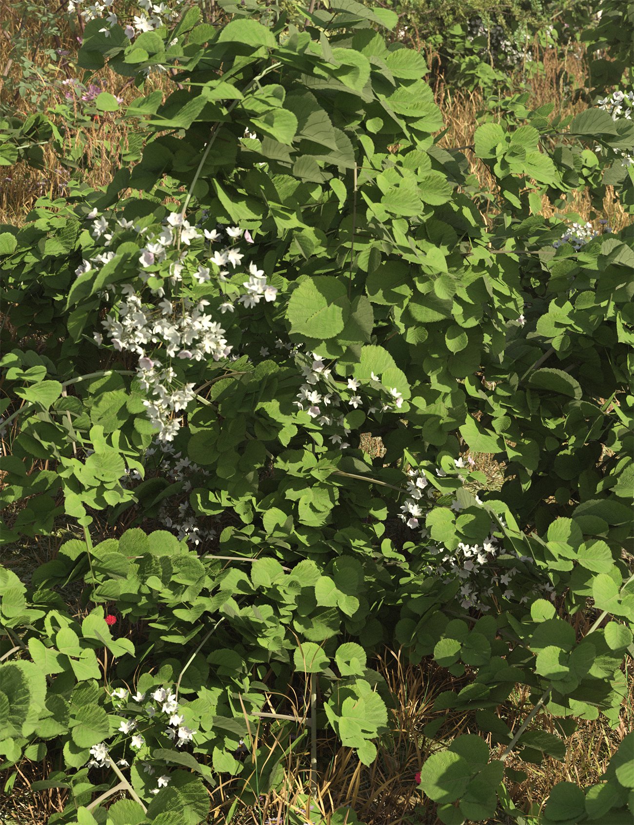 Hedgerow Kit Bundle | Daz 3D