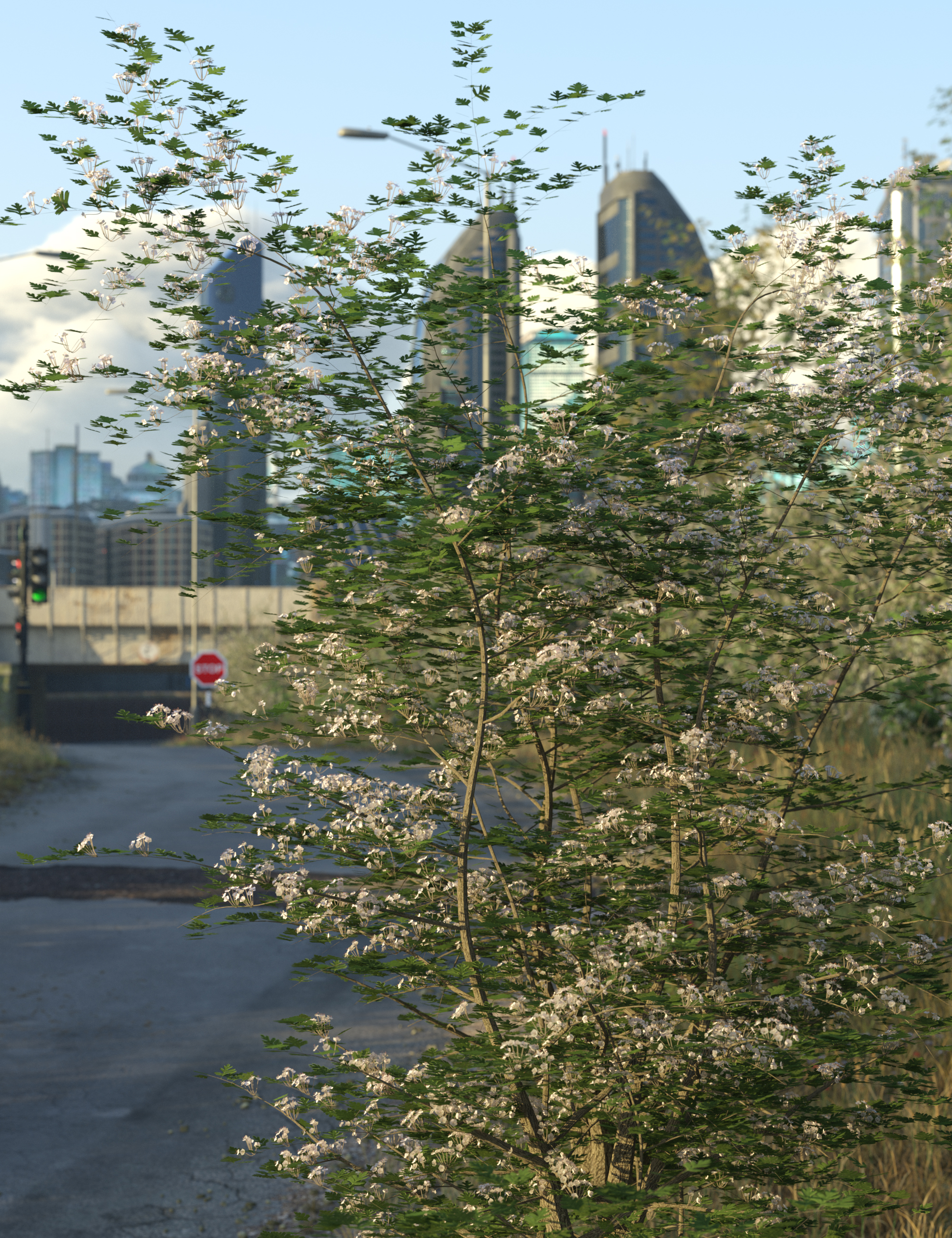 Hedgerow Kit Bundle | Daz 3D