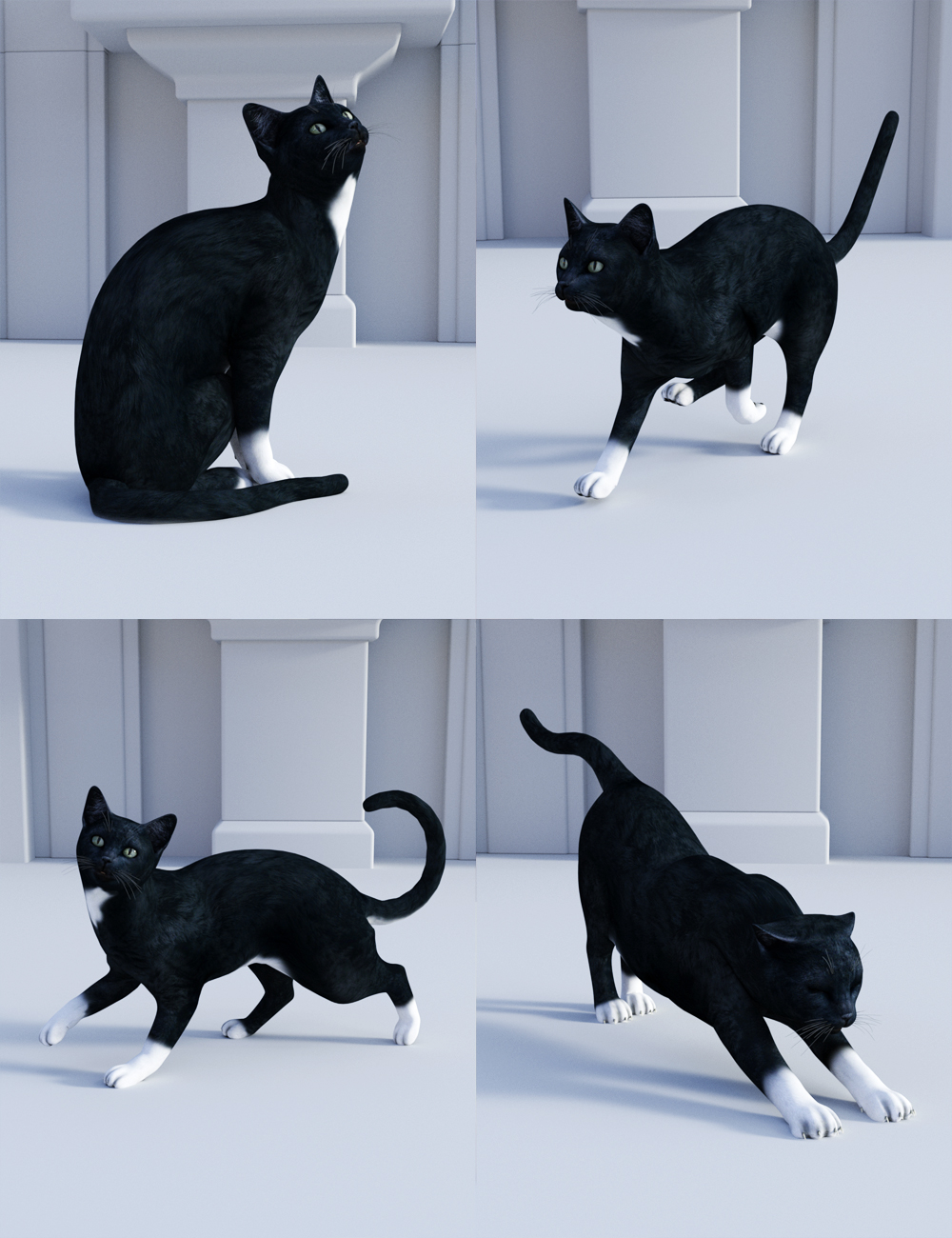Best Cat Poses n Props for DAZ House Cat | Daz 3D