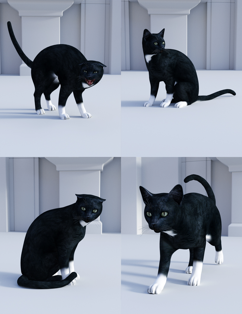 Best Cat Poses n Props for DAZ House Cat | Daz 3D