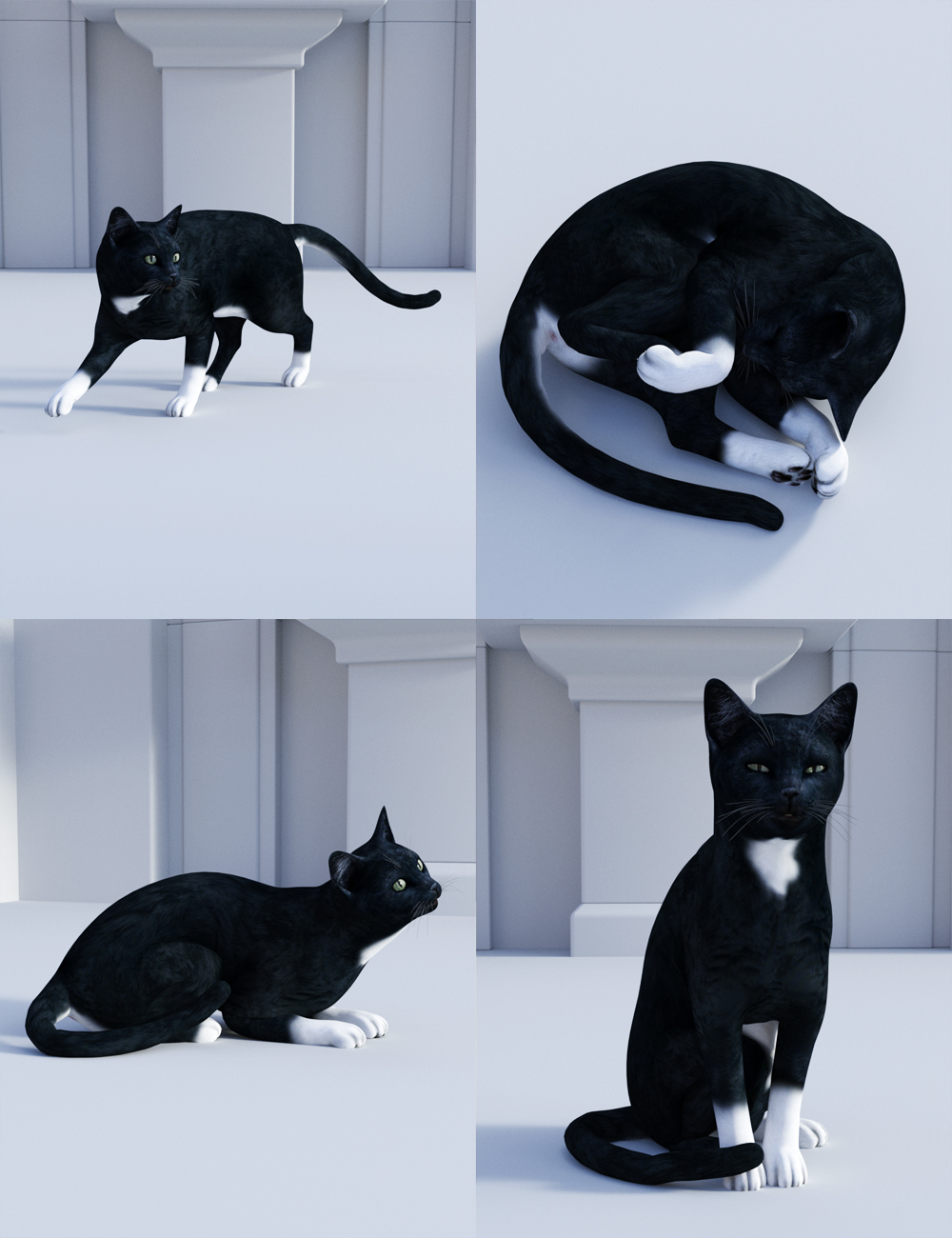 Best Cat Poses n Props for DAZ House Cat | Daz 3D