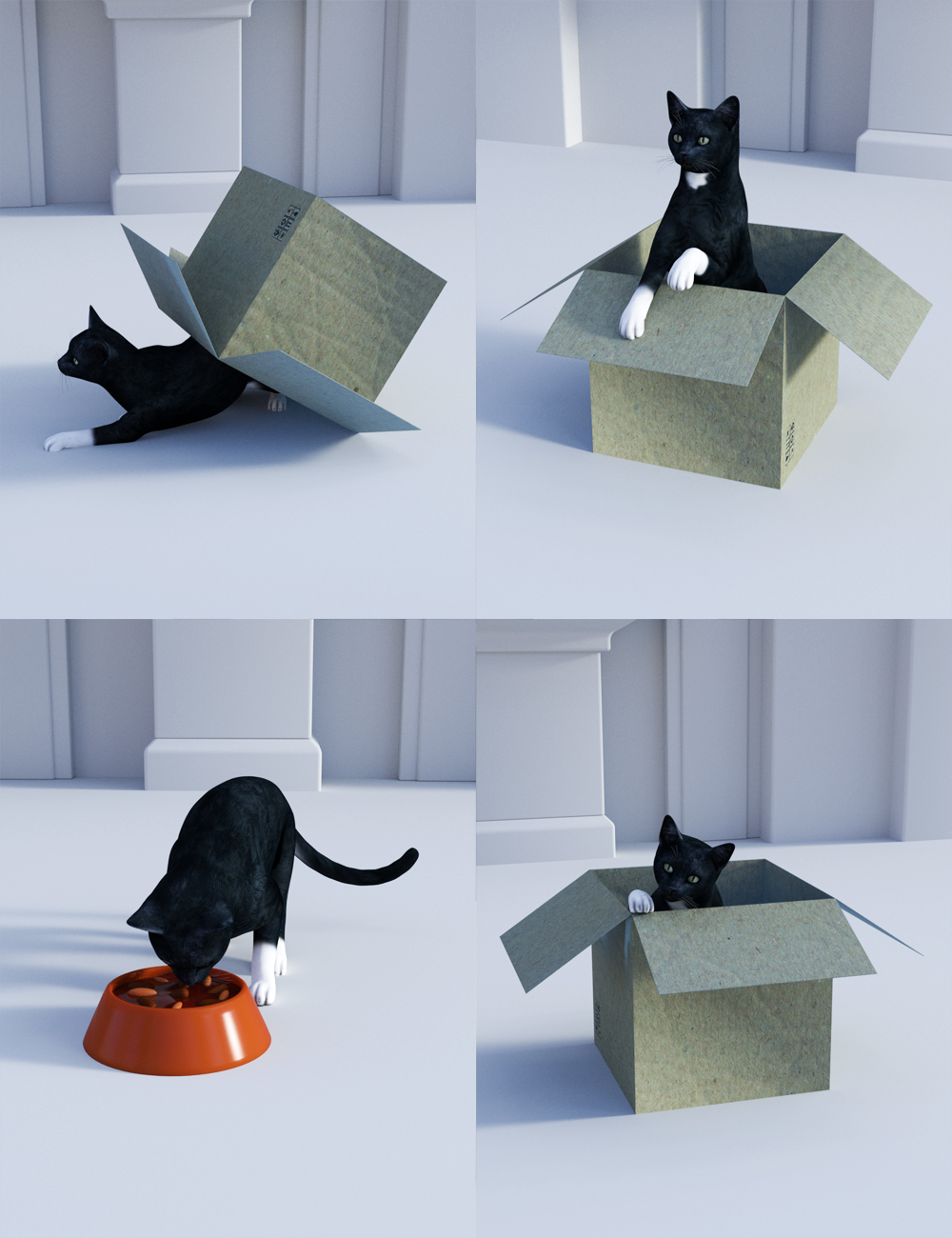 Best Cat Poses n Props for DAZ House Cat | Daz 3D