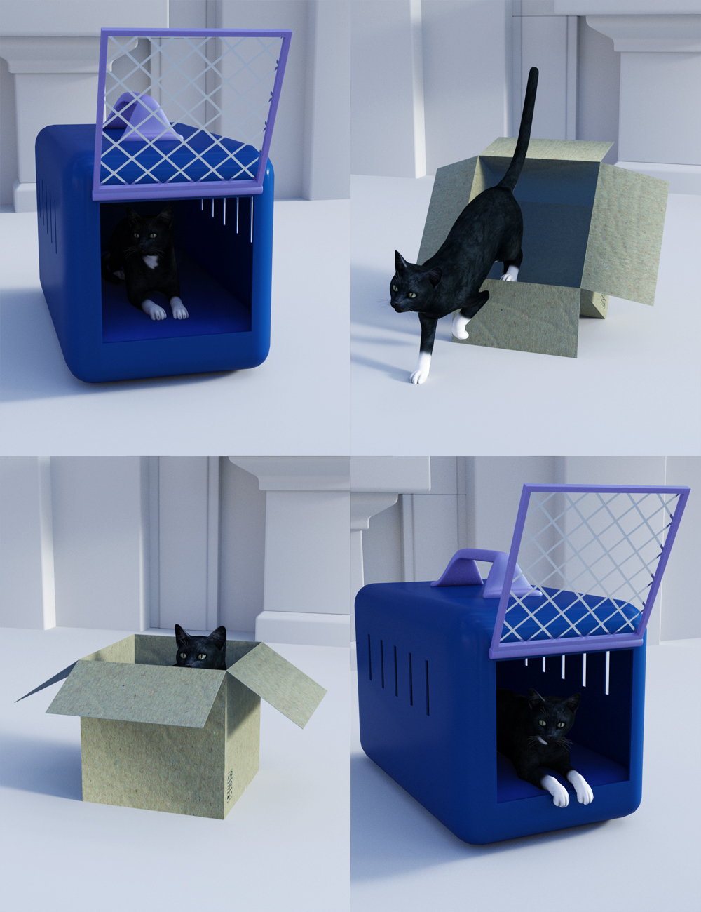 Best Cat Poses n Props for DAZ House Cat | Daz 3D