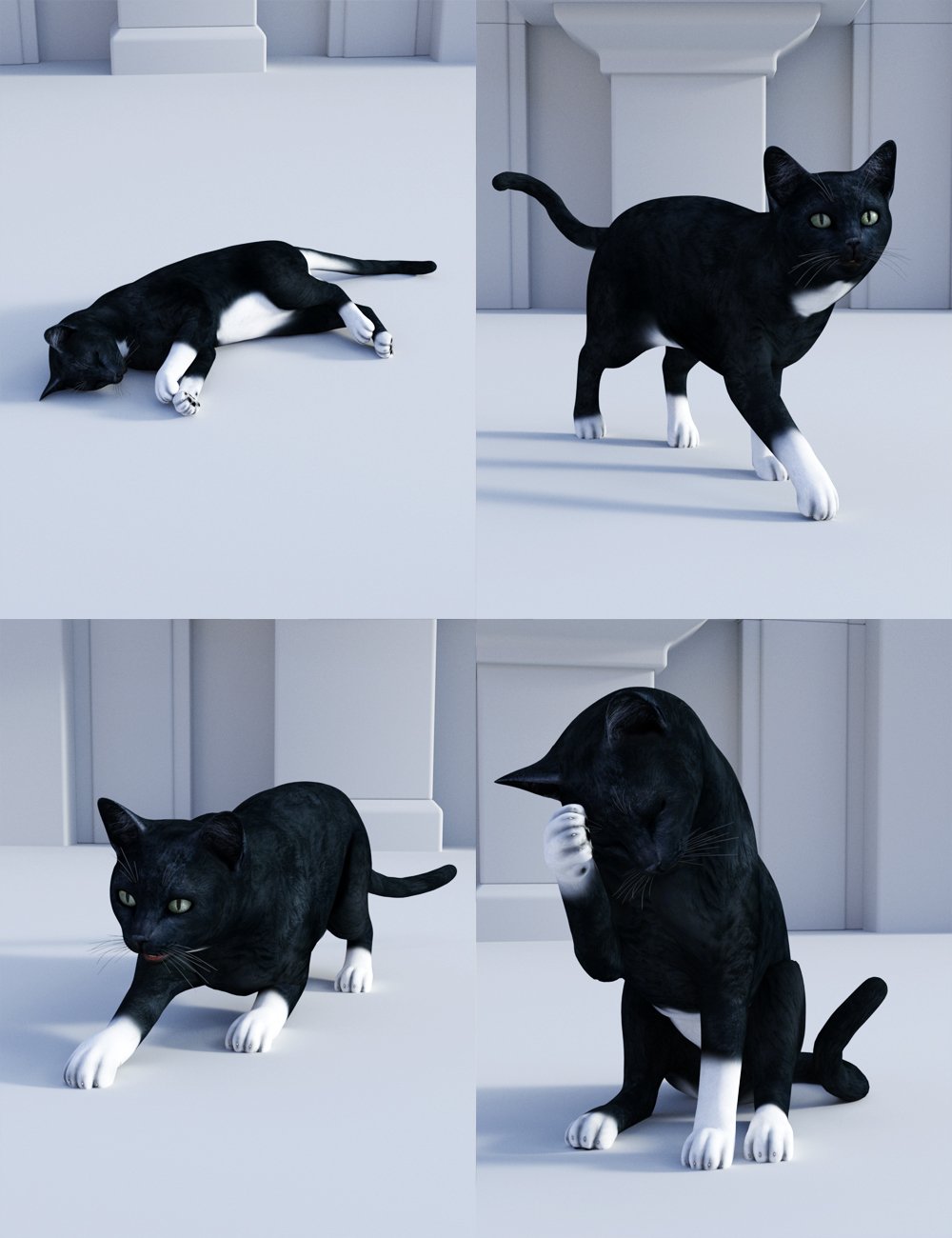 Best Cat Poses n Props for DAZ House Cat | Daz 3D