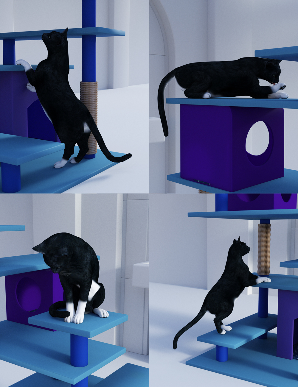 Best Cat Poses n Props for DAZ House Cat | Daz 3D
