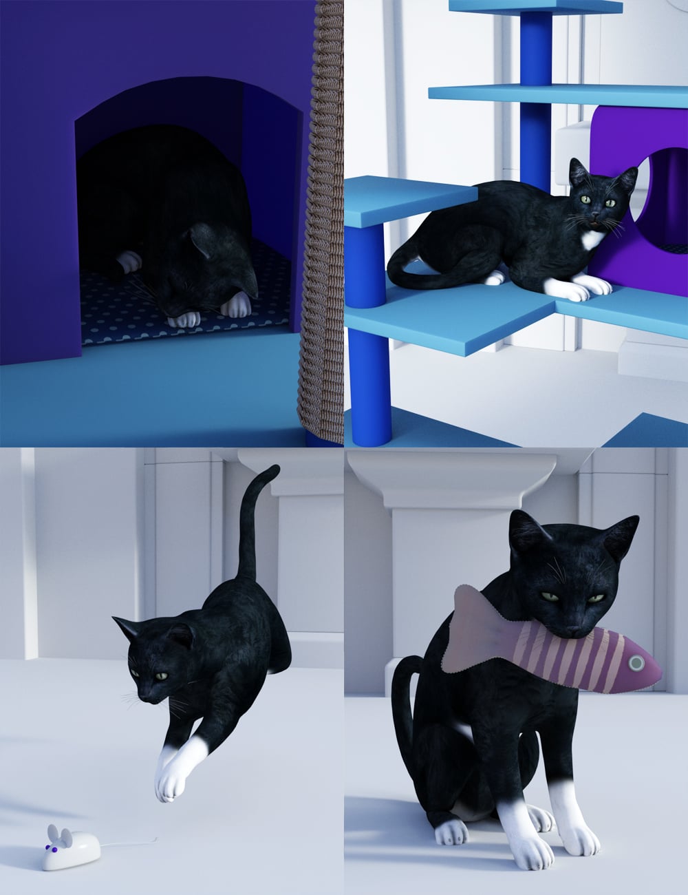 Best Cat Poses n Props for DAZ House Cat | Daz 3D