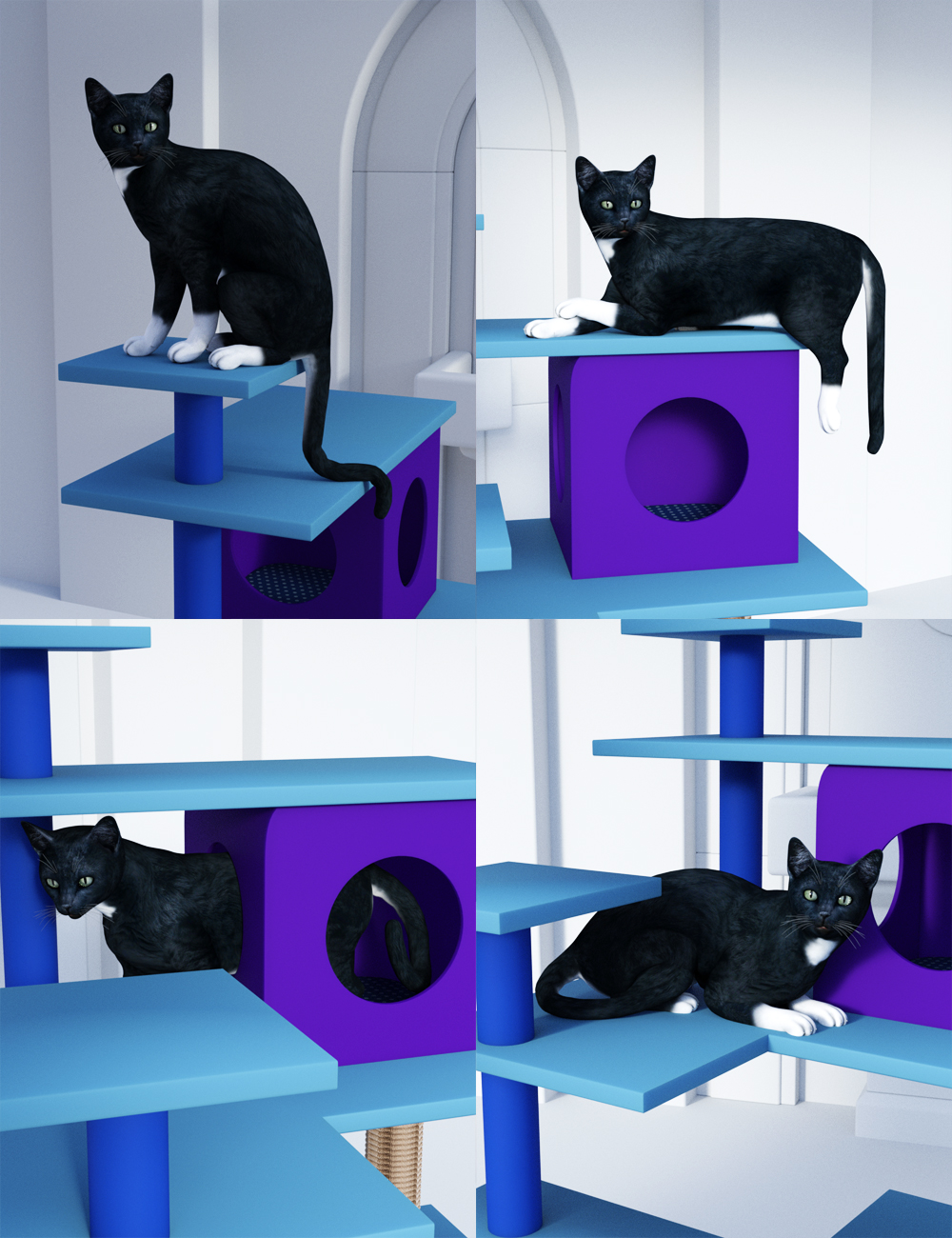 Best Cat Poses n Props for DAZ House Cat | Daz 3D
