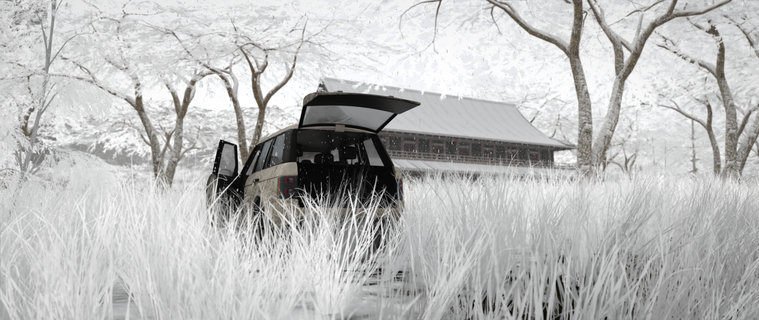 Zen Mountain Snow Add On | Daz 3D