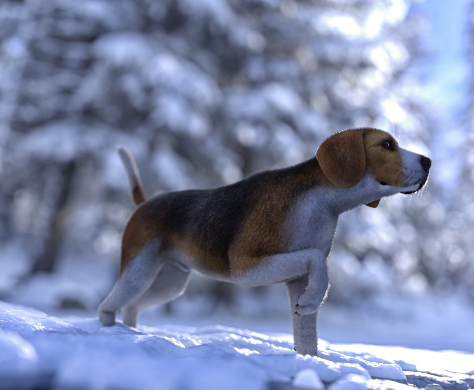Beagle for Daz Dog 8 | Daz 3D