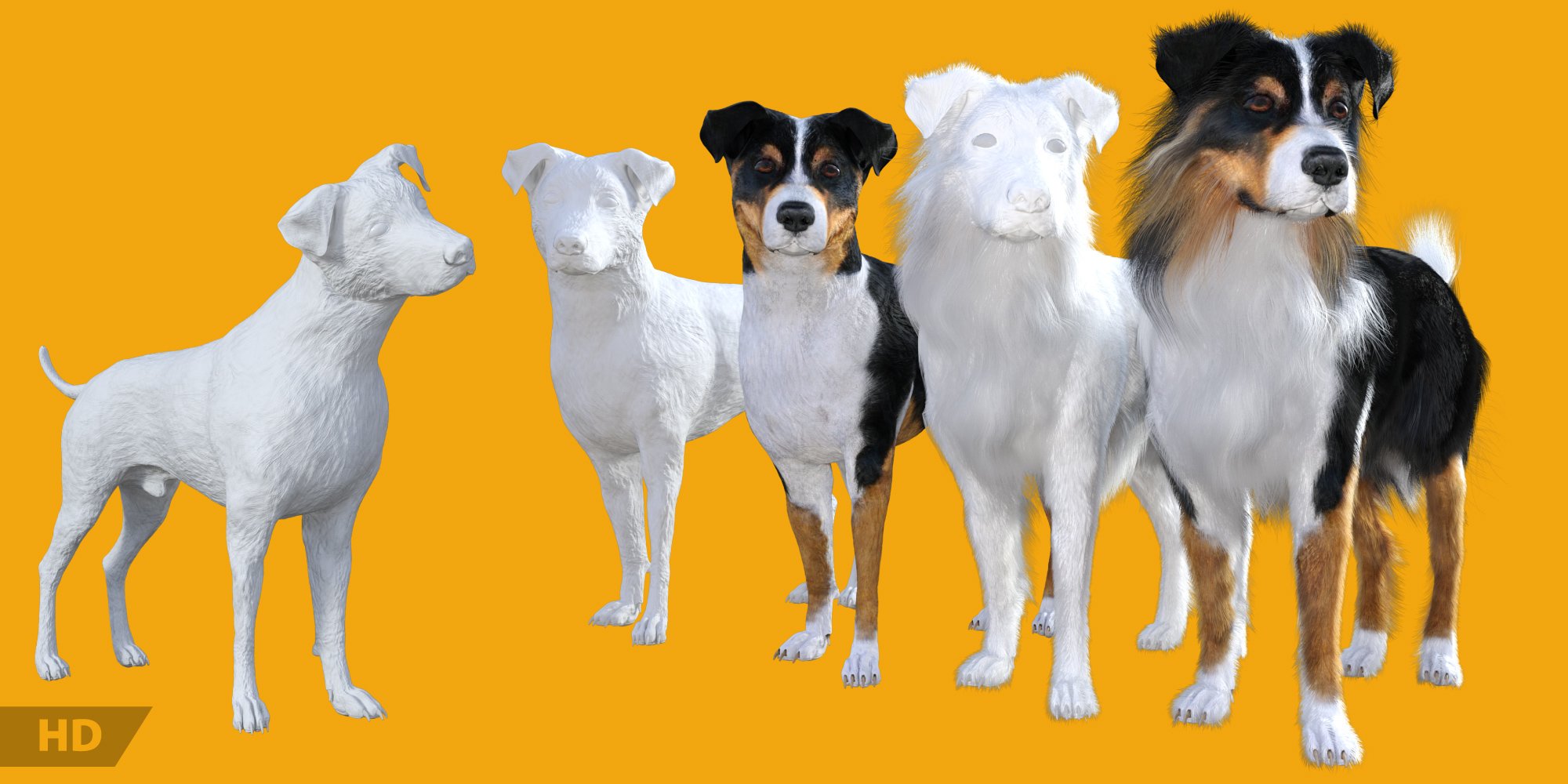 Australian Shepherd for Daz Dog 8 | Daz 3D