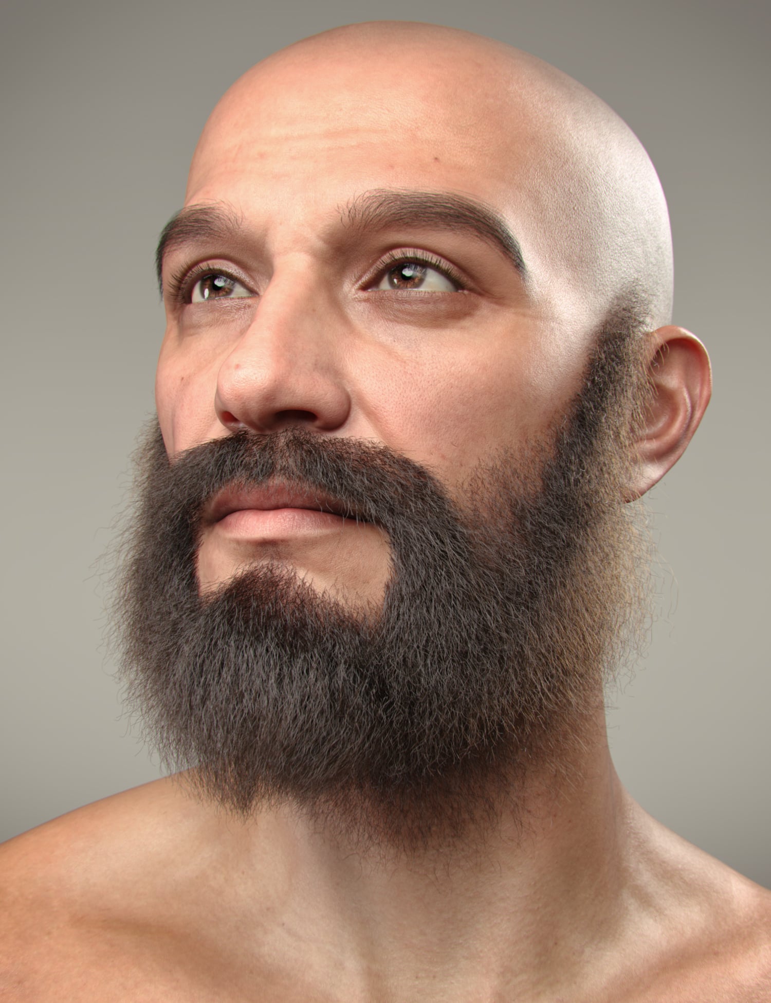 LI Sailor's Life Beard for Genesis 9 | Daz 3D