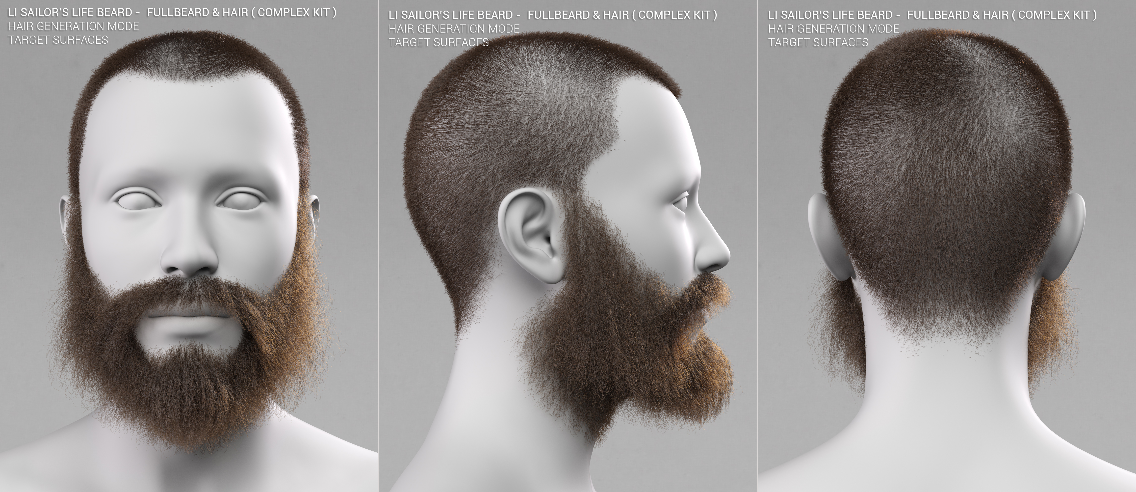 LI Sailor's Life Beard for Genesis 9 | Daz 3D