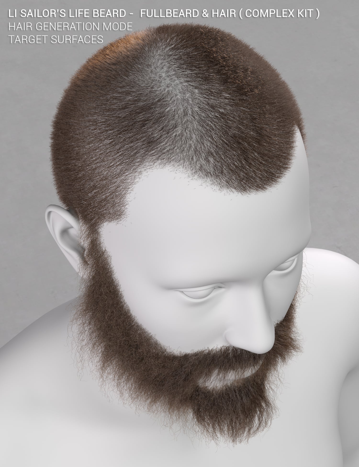 LI Sailor's Life Beard for Genesis 9 | Daz 3D