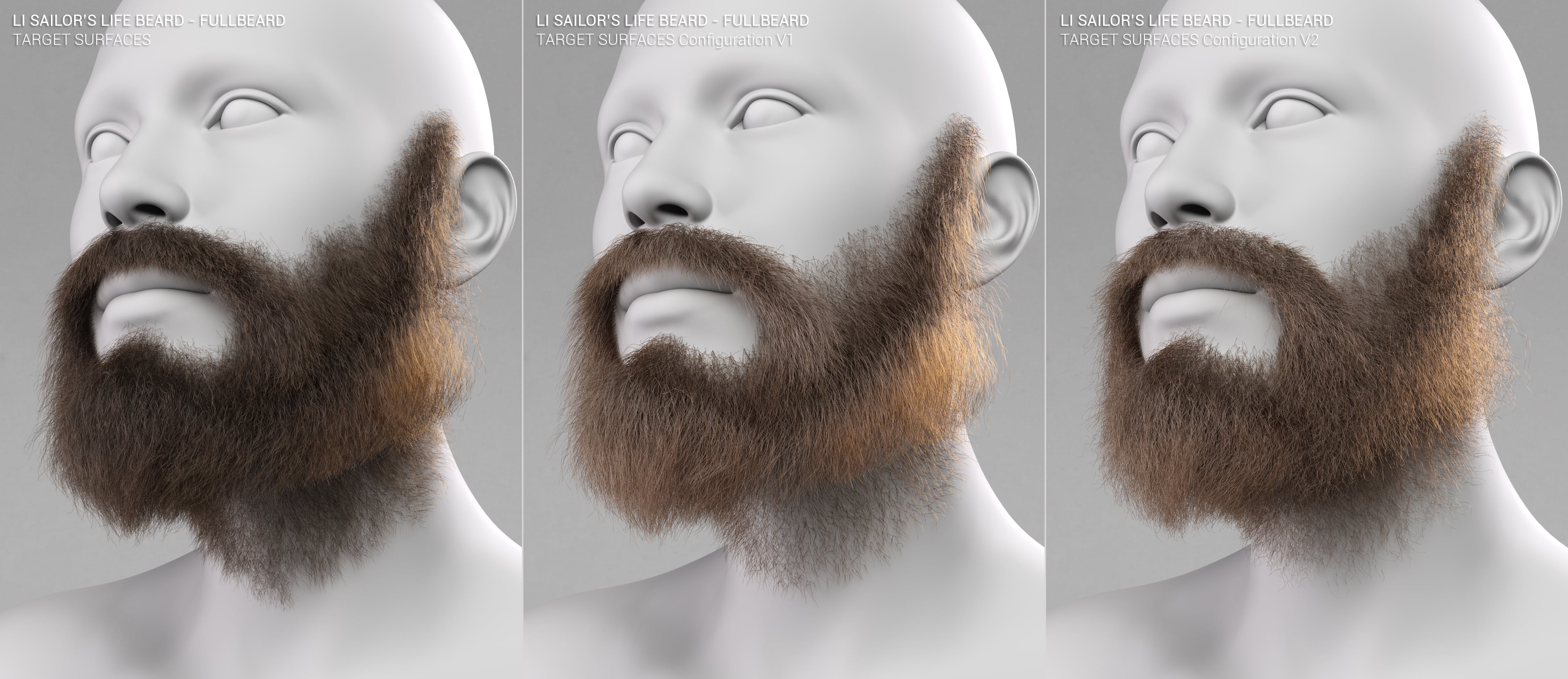 LI Sailor's Life Beard for Genesis 9 | Daz 3D
