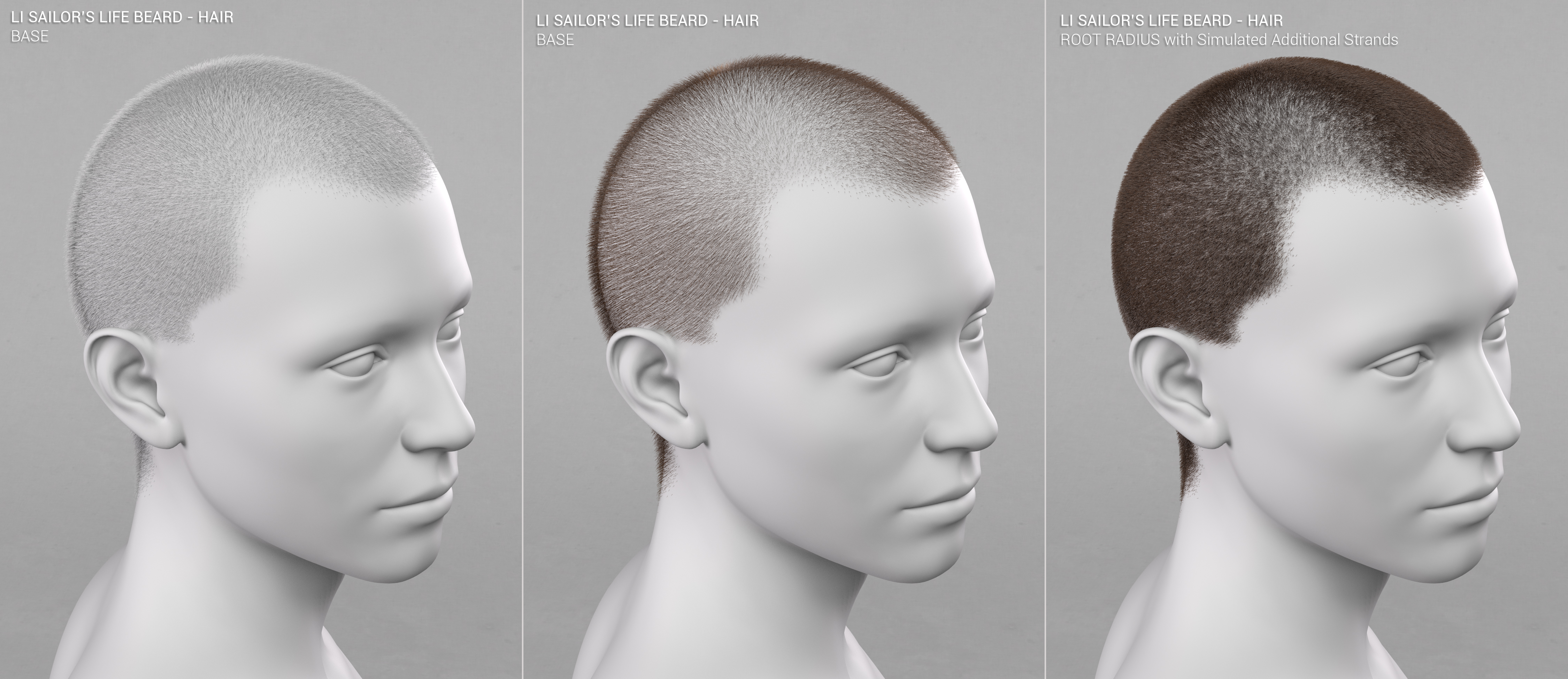 LI Sailor's Life Beard for Genesis 9 | Daz 3D