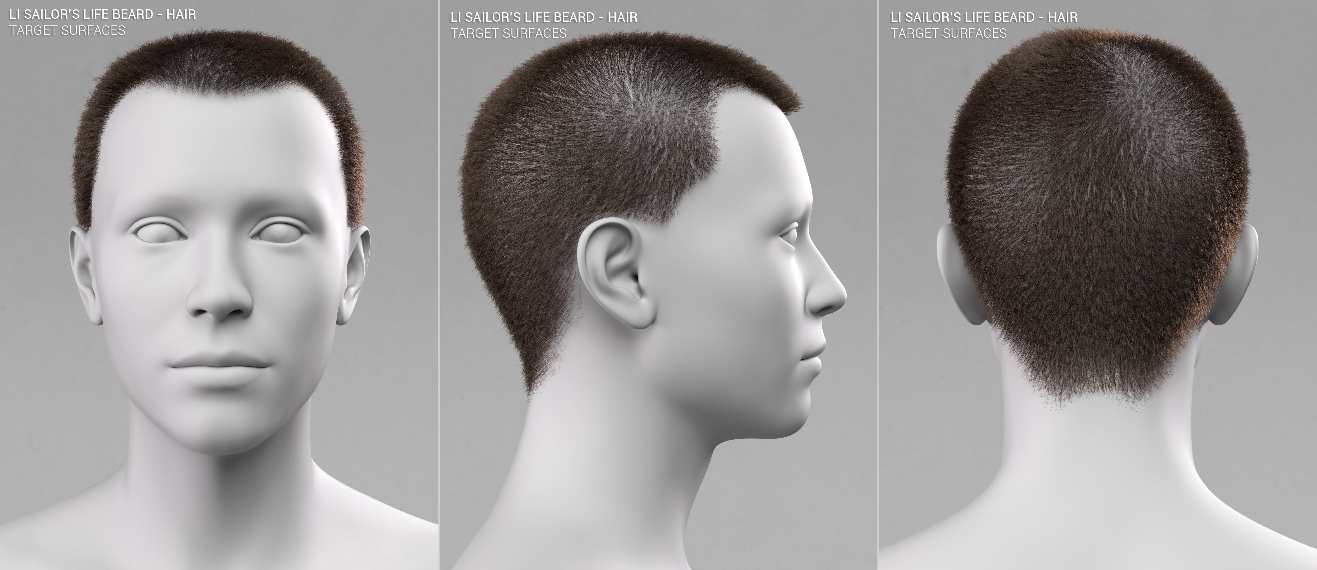 LI Sailor's Life Beard for Genesis 9 | Daz 3D