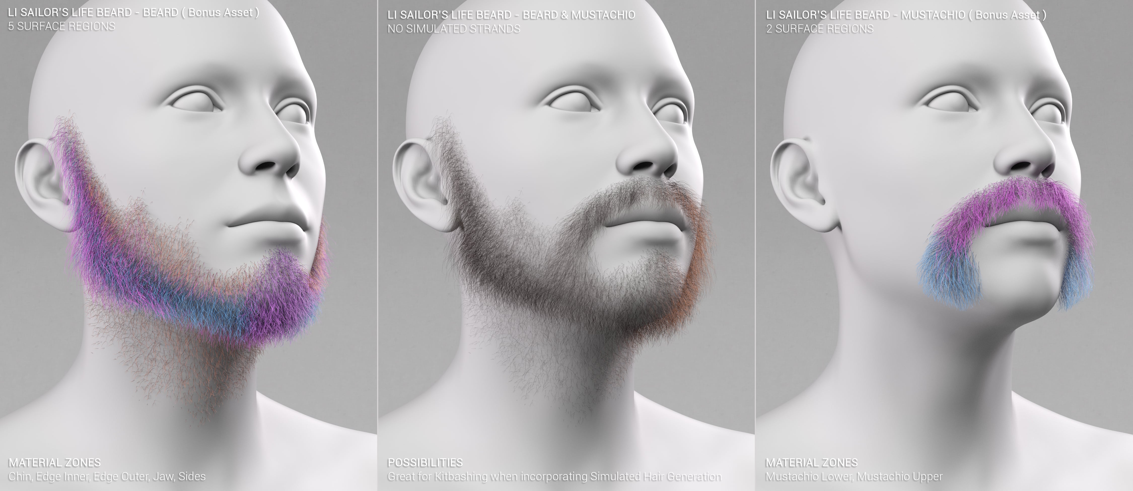 LI Sailor's Life Beard for Genesis 9 | Daz 3D