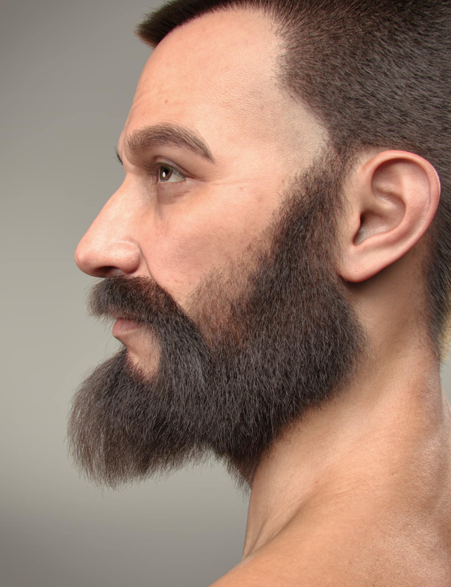 LI Sailor's Life Beard for Genesis 9 | Daz 3D