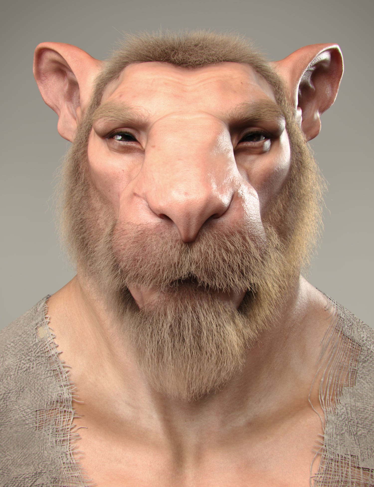 LI Sailor's Life Beard for Genesis 9 | Daz 3D