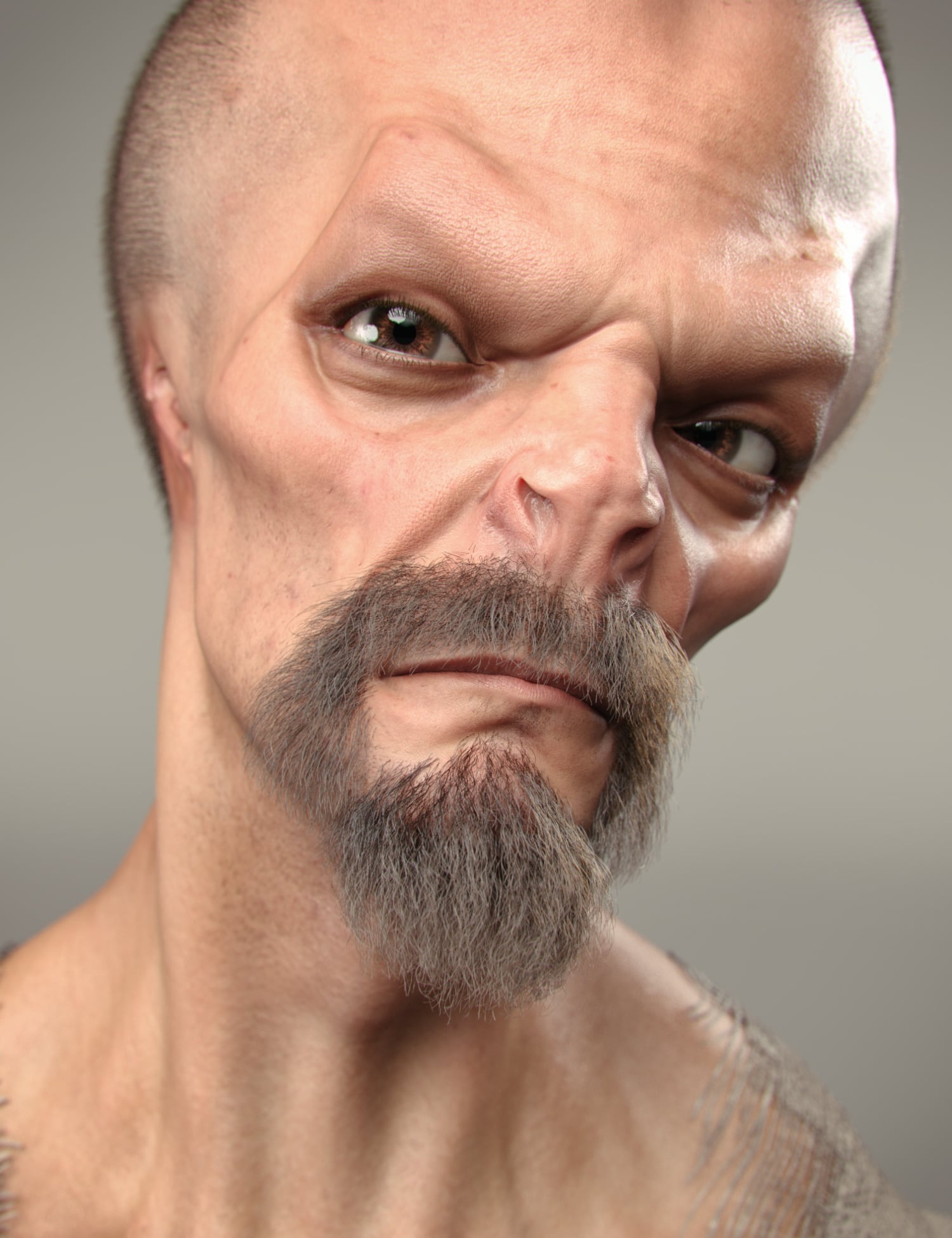 LI Sailor's Life Beard for Genesis 9 | Daz 3D
