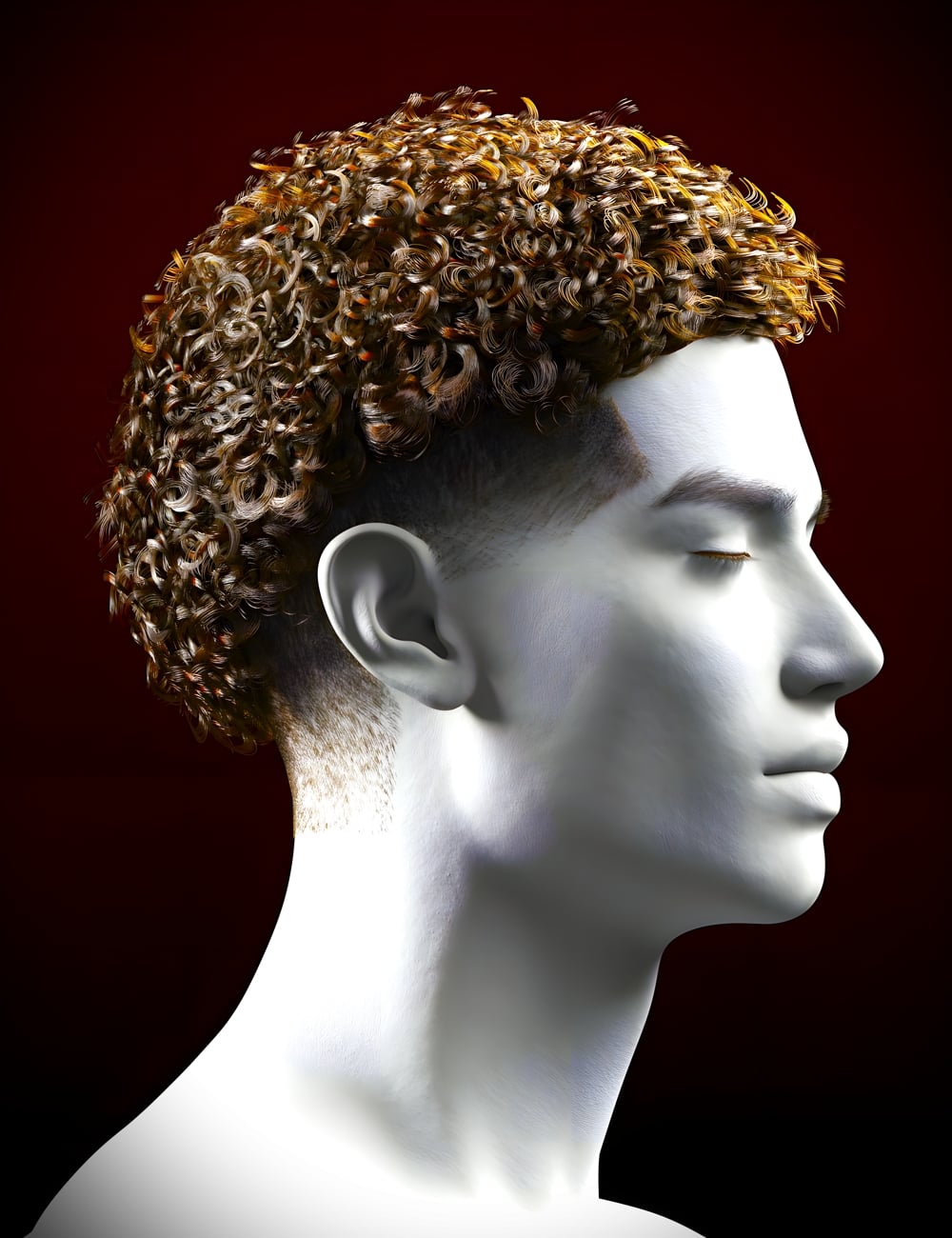 FPD Curly Taper Fade for Genesis 9 | Daz 3D
