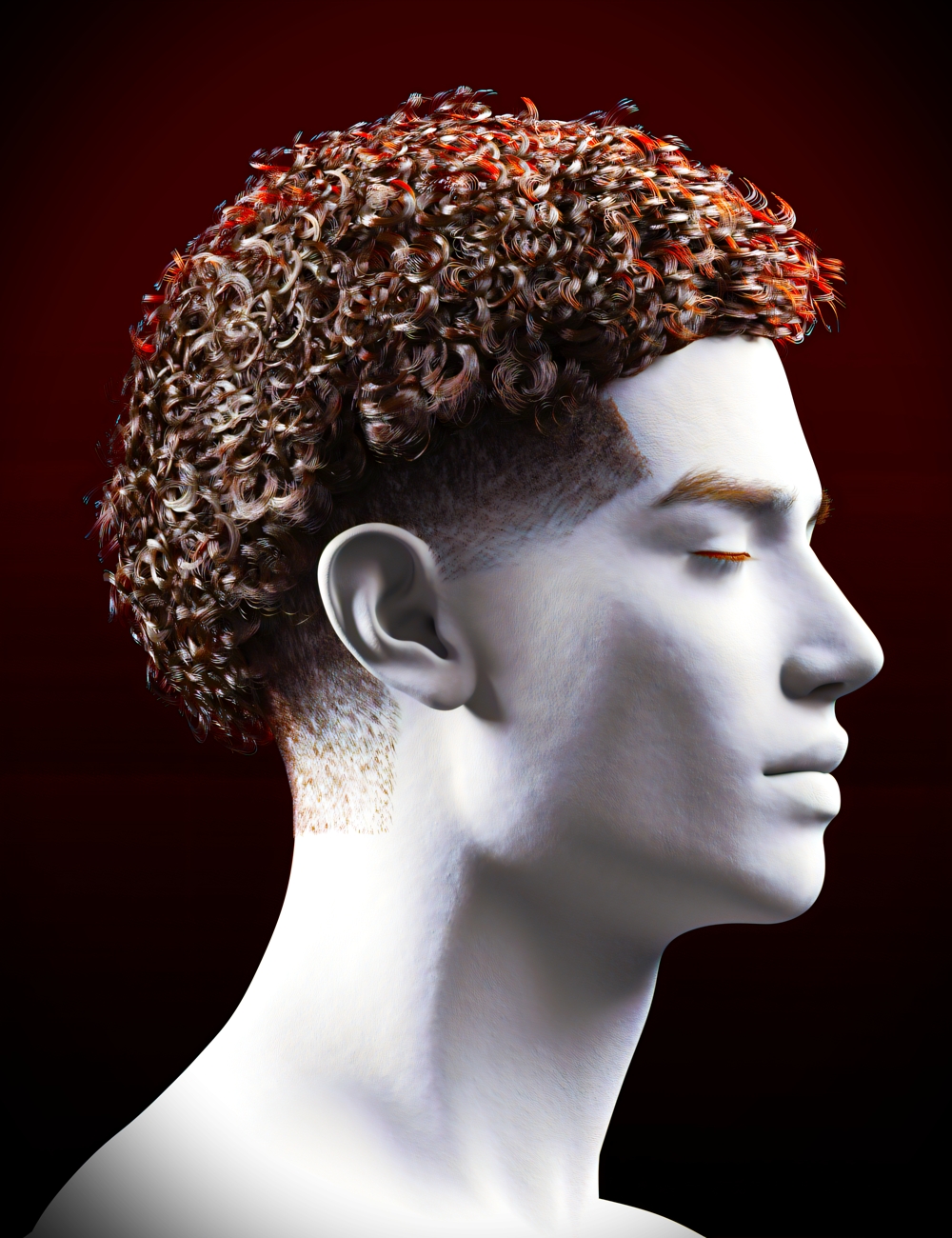 FPD Curly Taper Fade for Genesis 9 | Daz 3D
