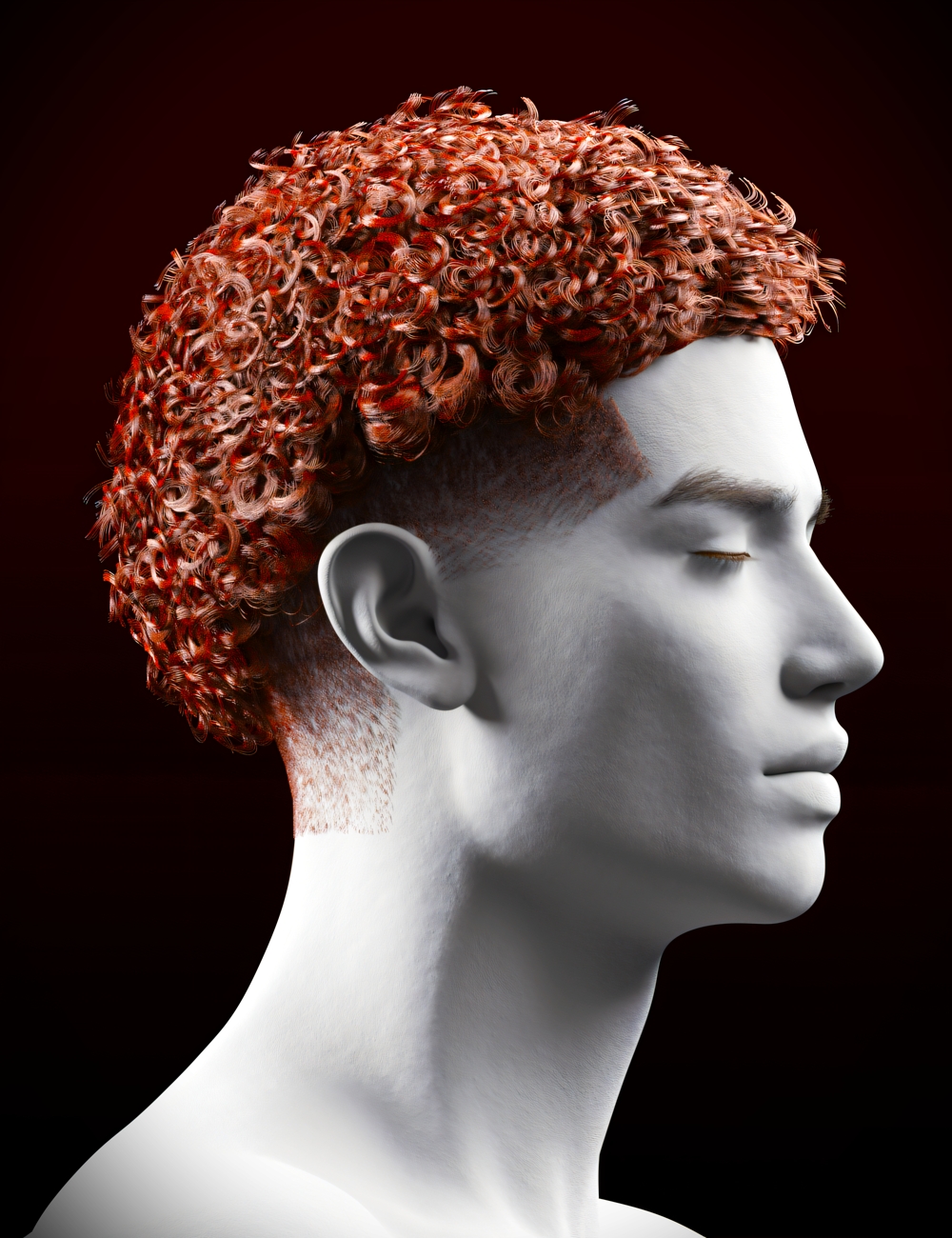 FPD Curly Taper Fade for Genesis 9 | Daz 3D