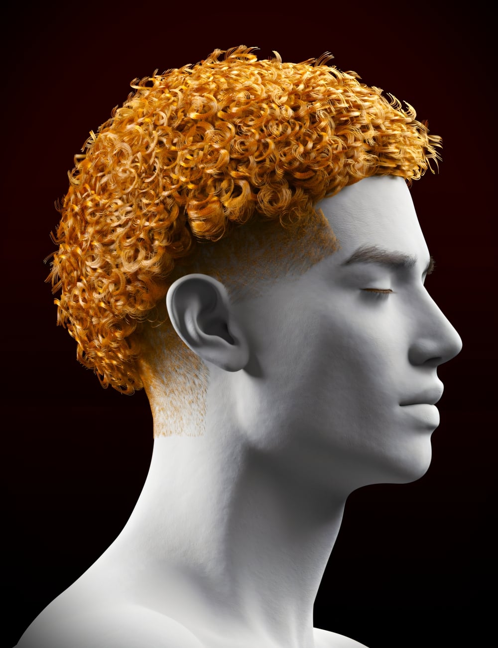 FPD Curly Taper Fade for Genesis 9 | Daz 3D