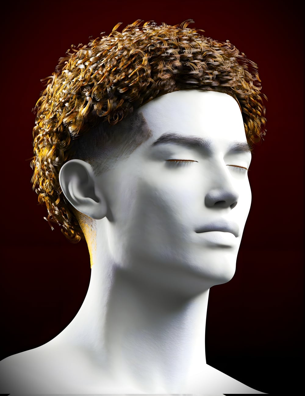 FPD Curly Taper Fade for Genesis 9 | Daz 3D