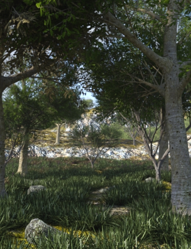 My Trees | Daz 3D