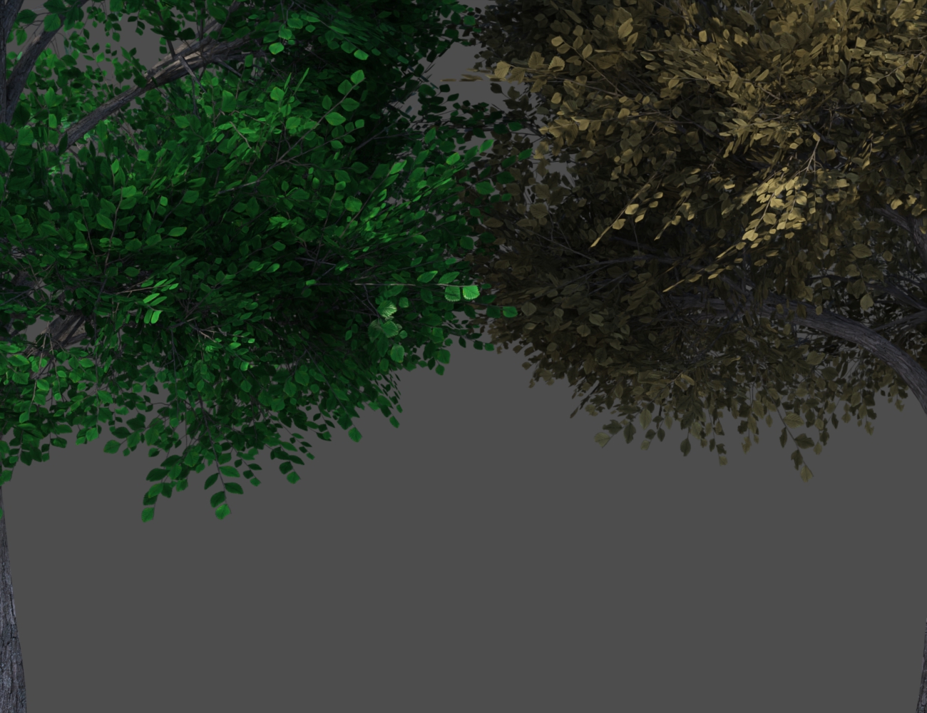 My Trees | Daz 3D