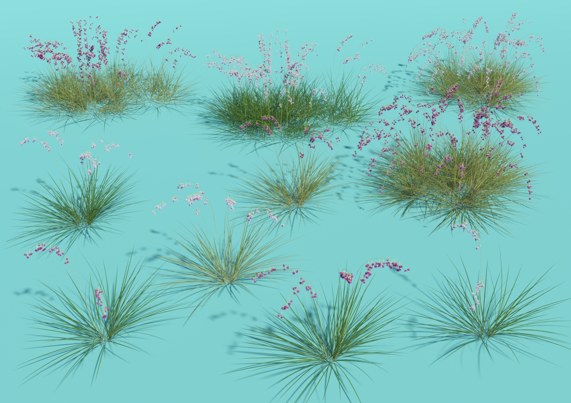 Cottage Garden Flowers - Angels Fishing Rods | Daz 3D