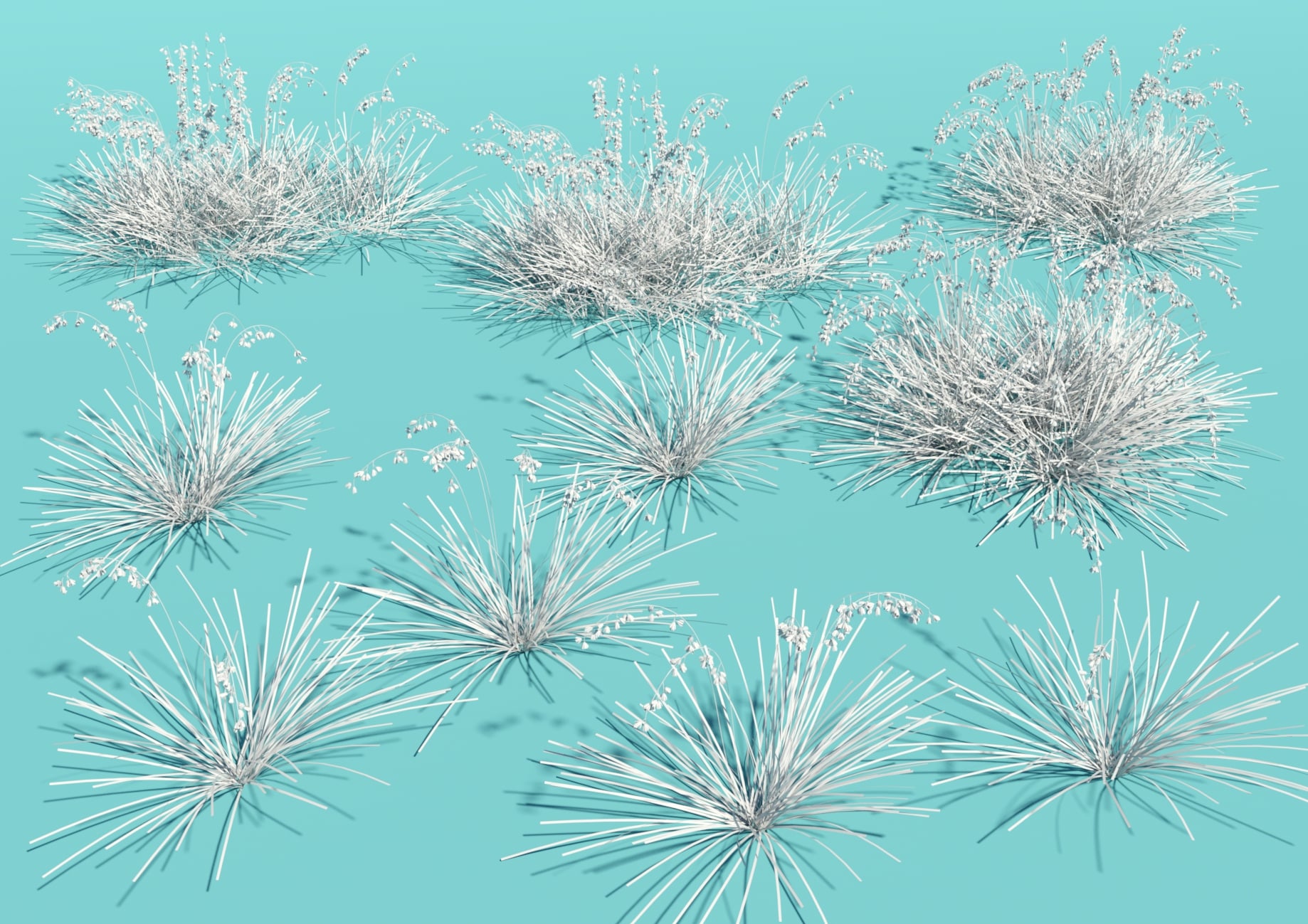 Cottage Garden Flowers - Angels Fishing Rods | Daz 3D